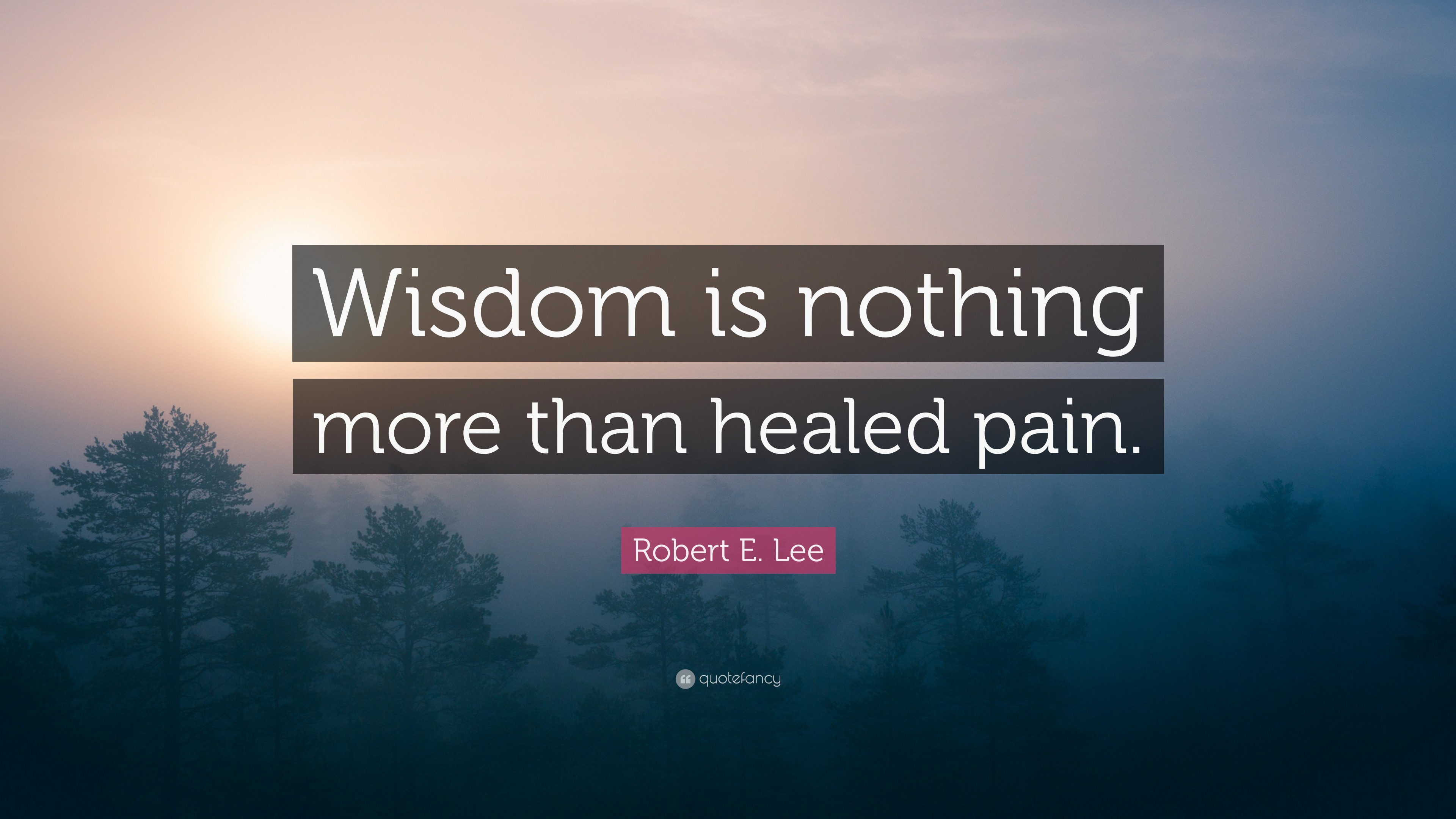 Robert E. Lee Quote: “Wisdom is nothing more than healed pain.”