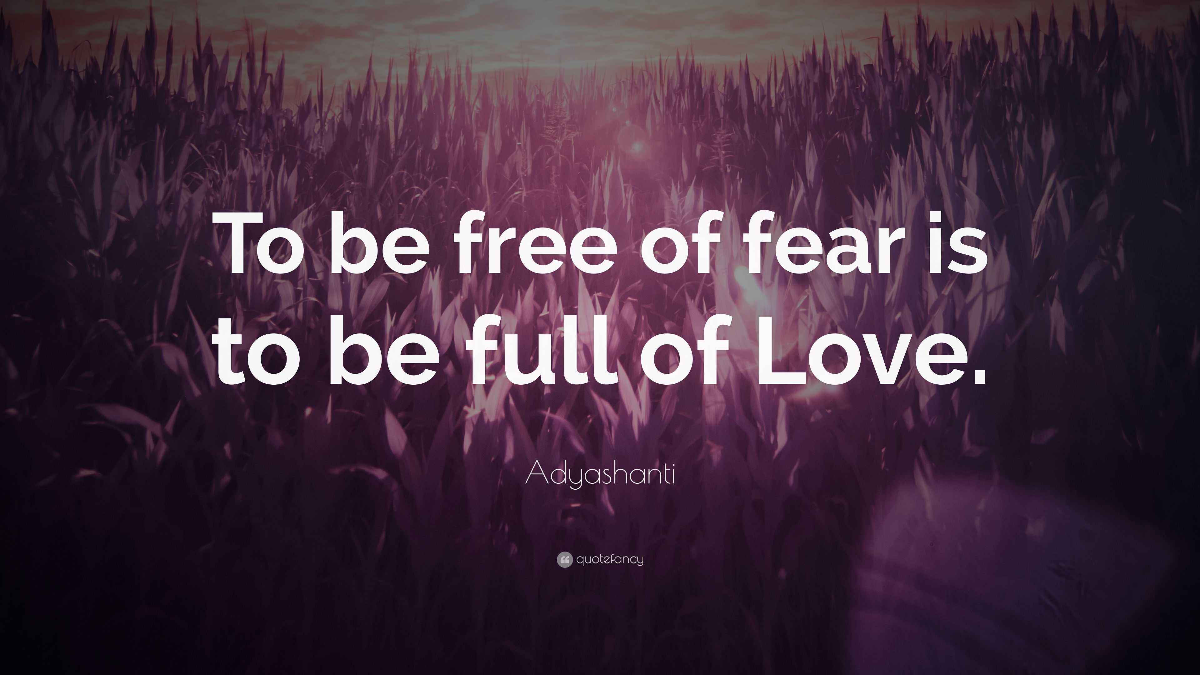 Adyashanti Quote: “To be free of fear is to be full of Love.”