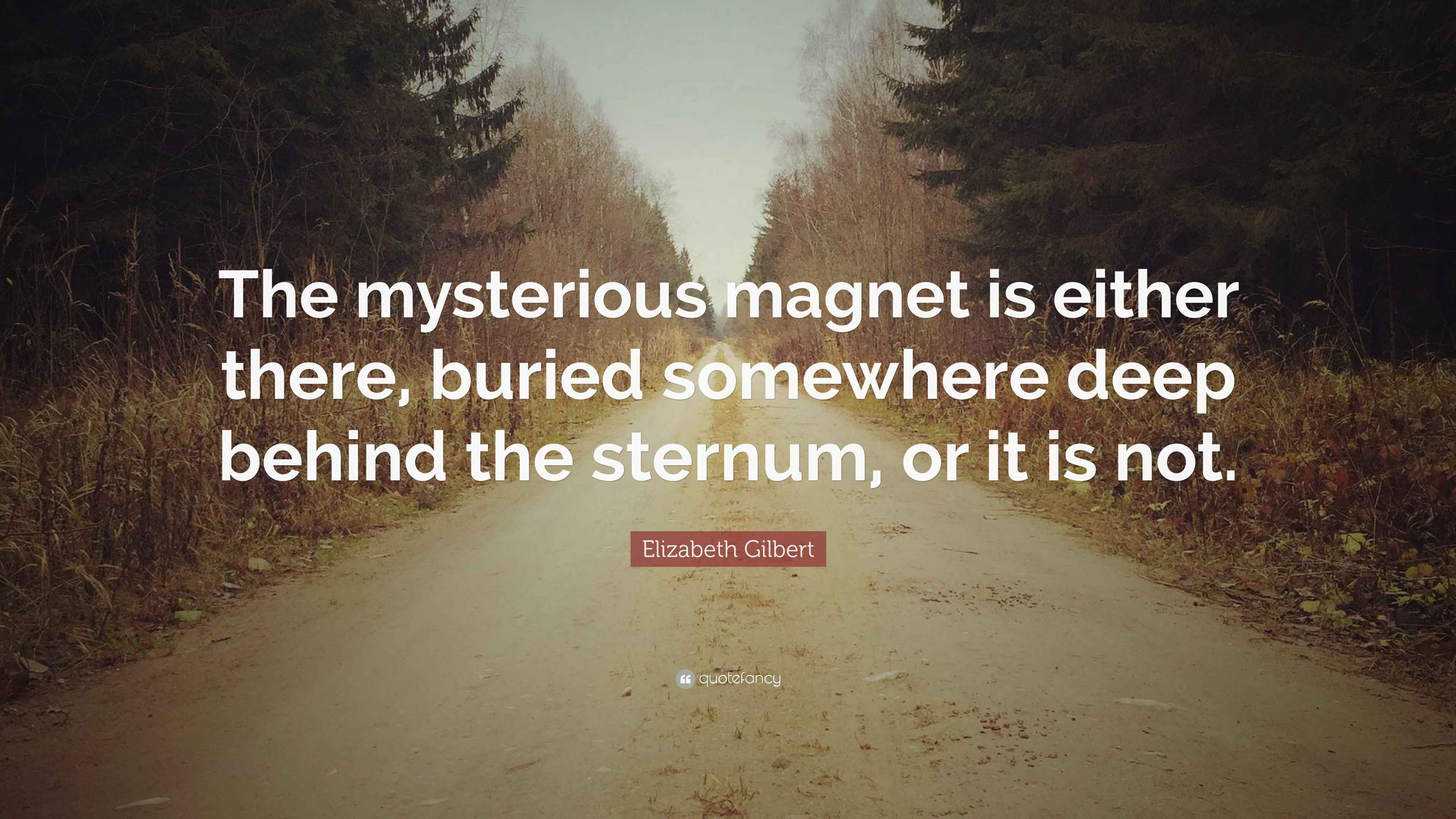 Elizabeth Gilbert Quote: “The mysterious magnet is either there, buried ...