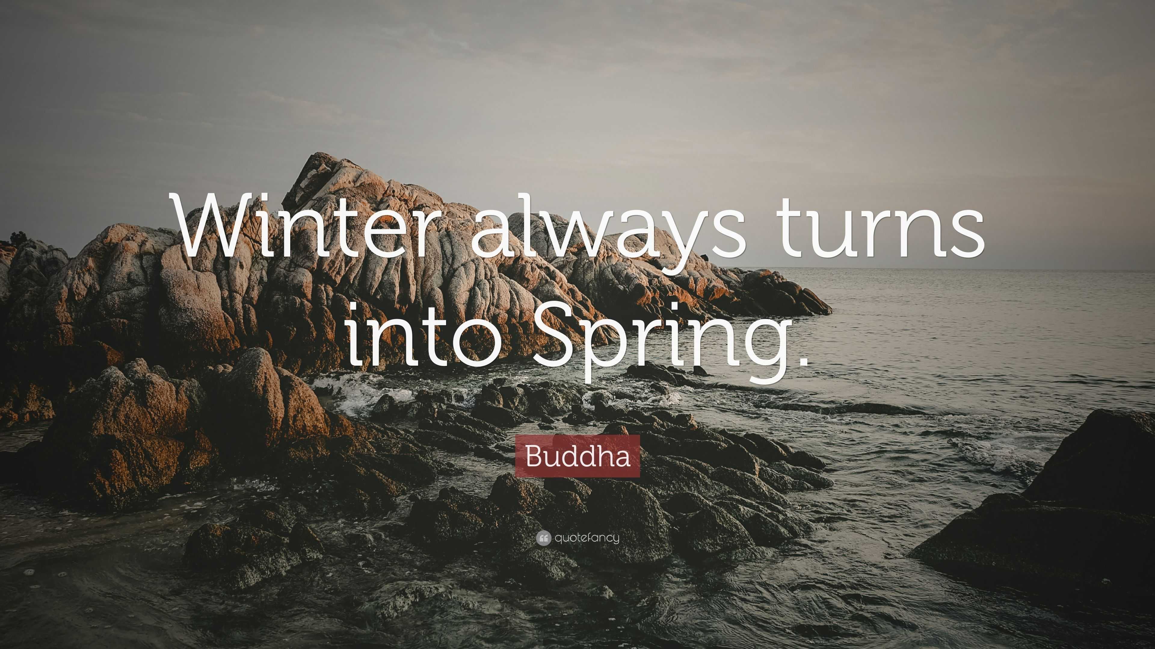 Buddha Quote: “Winter always turns into Spring.”