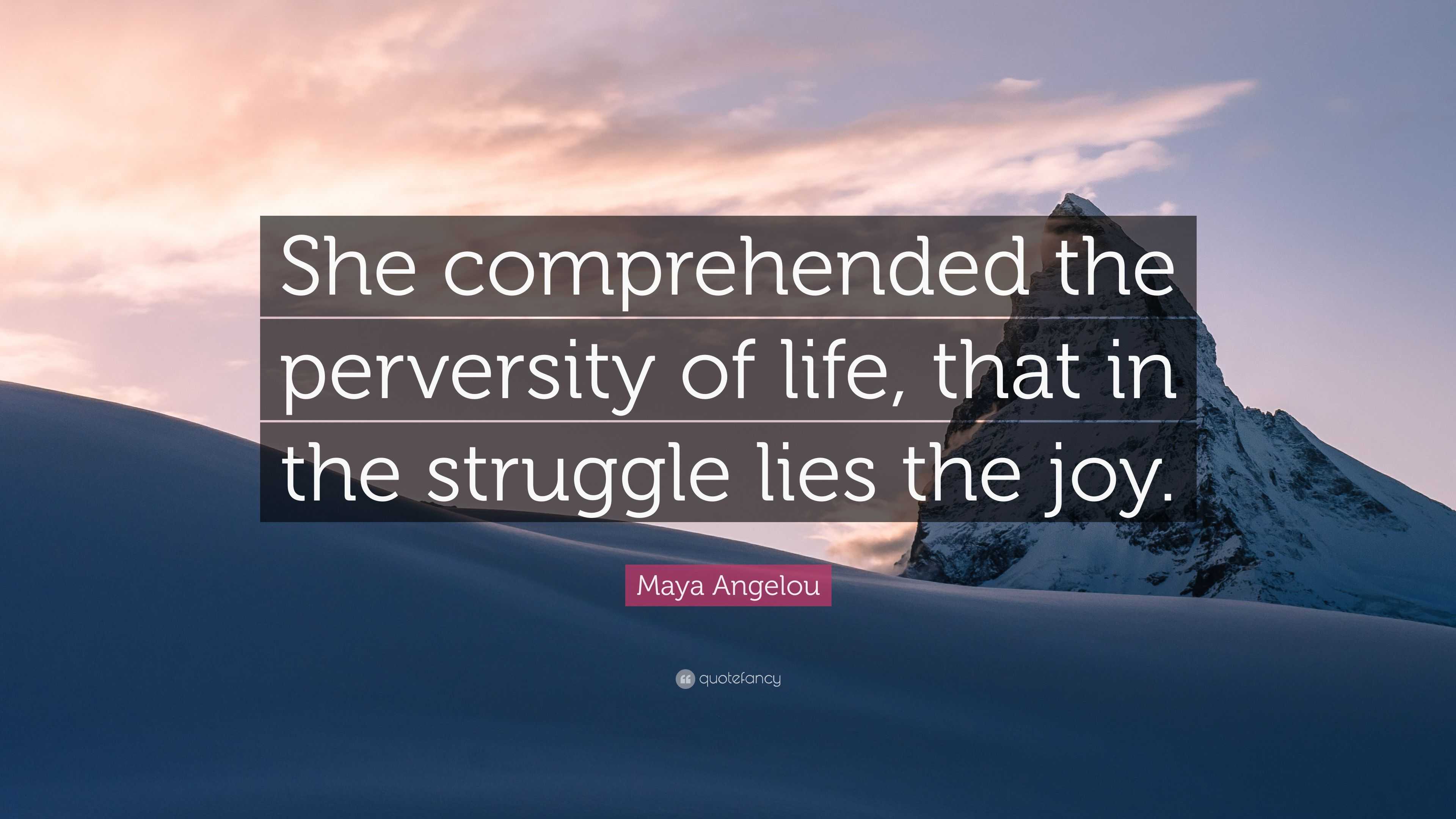 Maya Angelou Quote: “She comprehended the perversity of life, that in ...