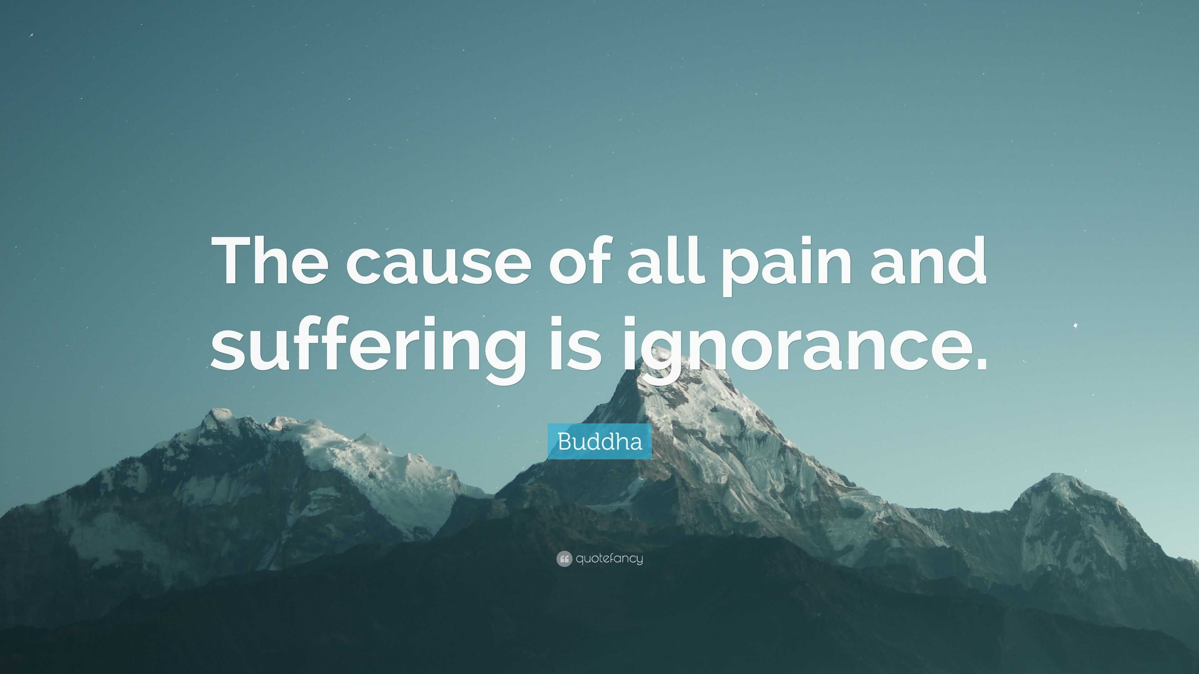 Buddha Quote: “The cause of all pain and suffering is ignorance.”