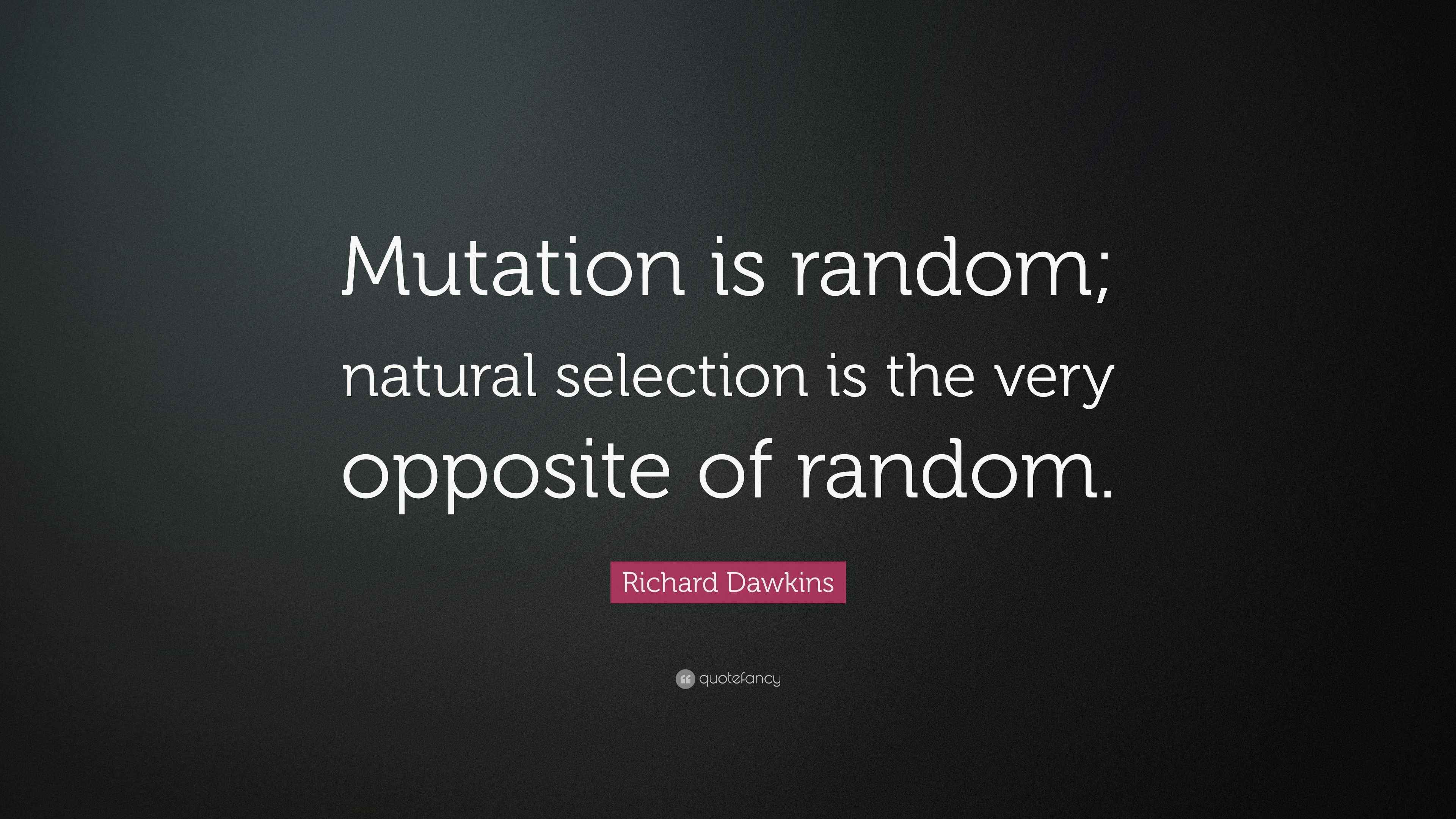 Richard Dawkins Quote: “Mutation is random; natural selection is the ...
