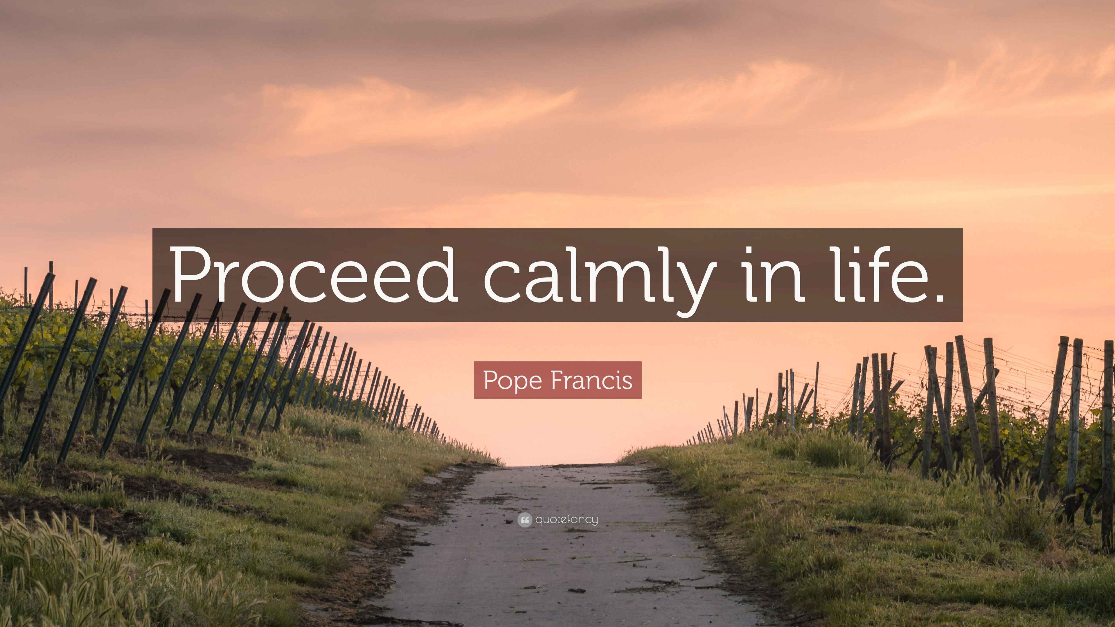 Pope Francis Quote: “Proceed calmly in life.”