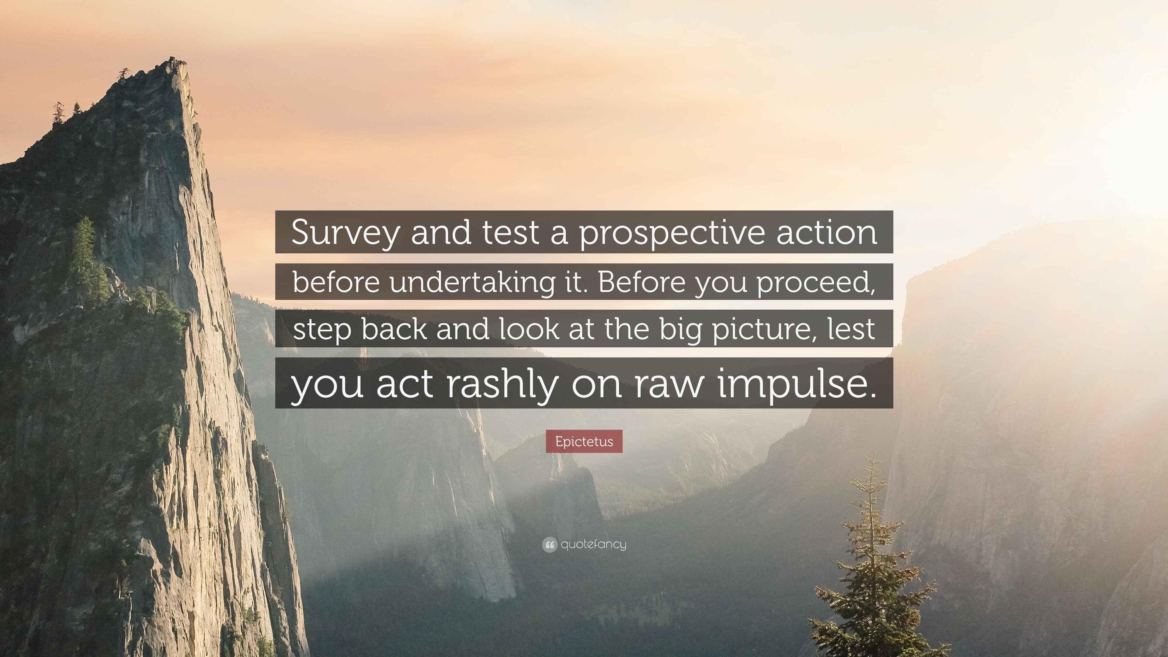 Epictetus Quote: “Survey and test a prospective action before ...