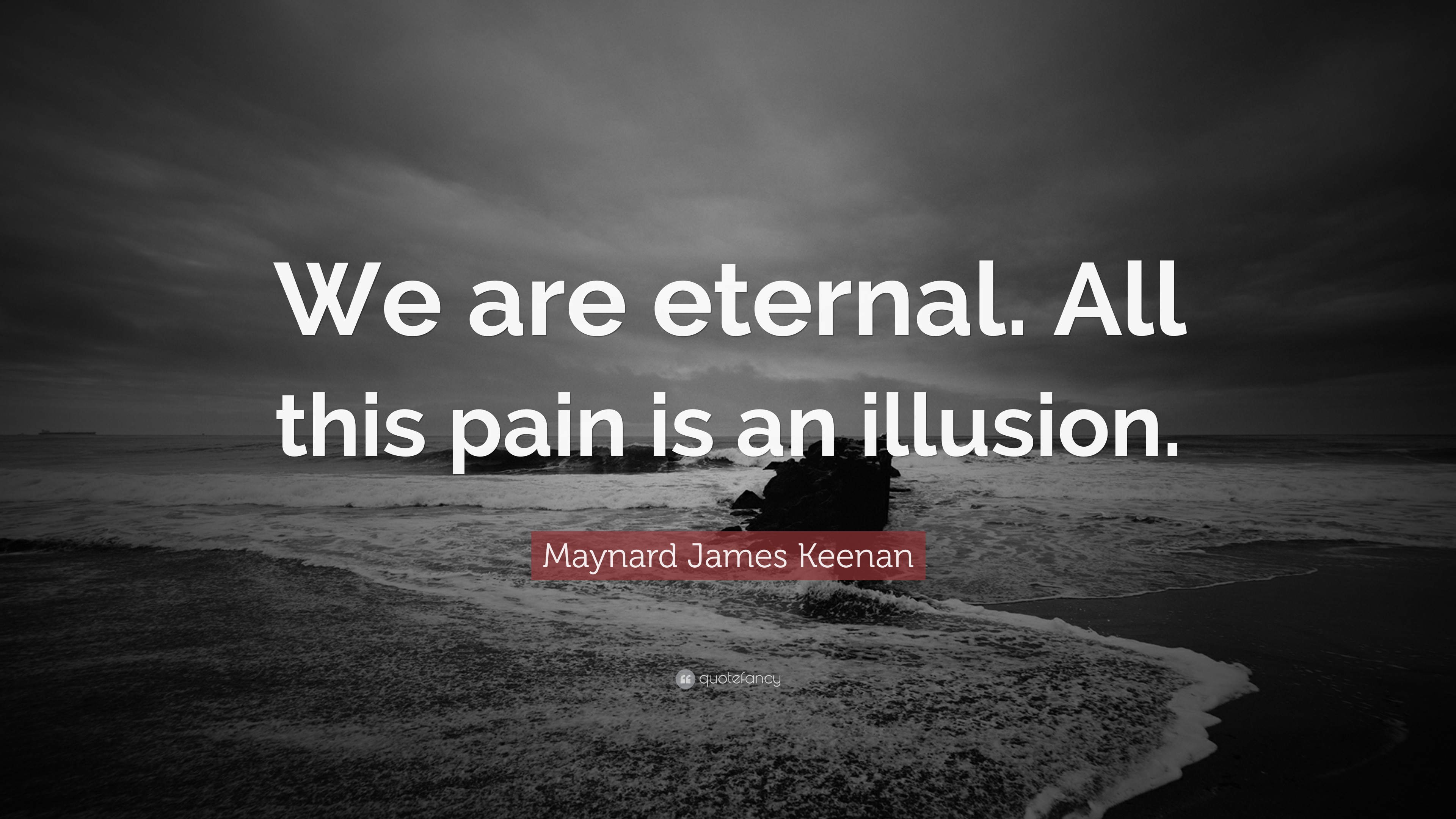 Maynard James Keenan Quote: “We are eternal. All this pain is an illusion.”