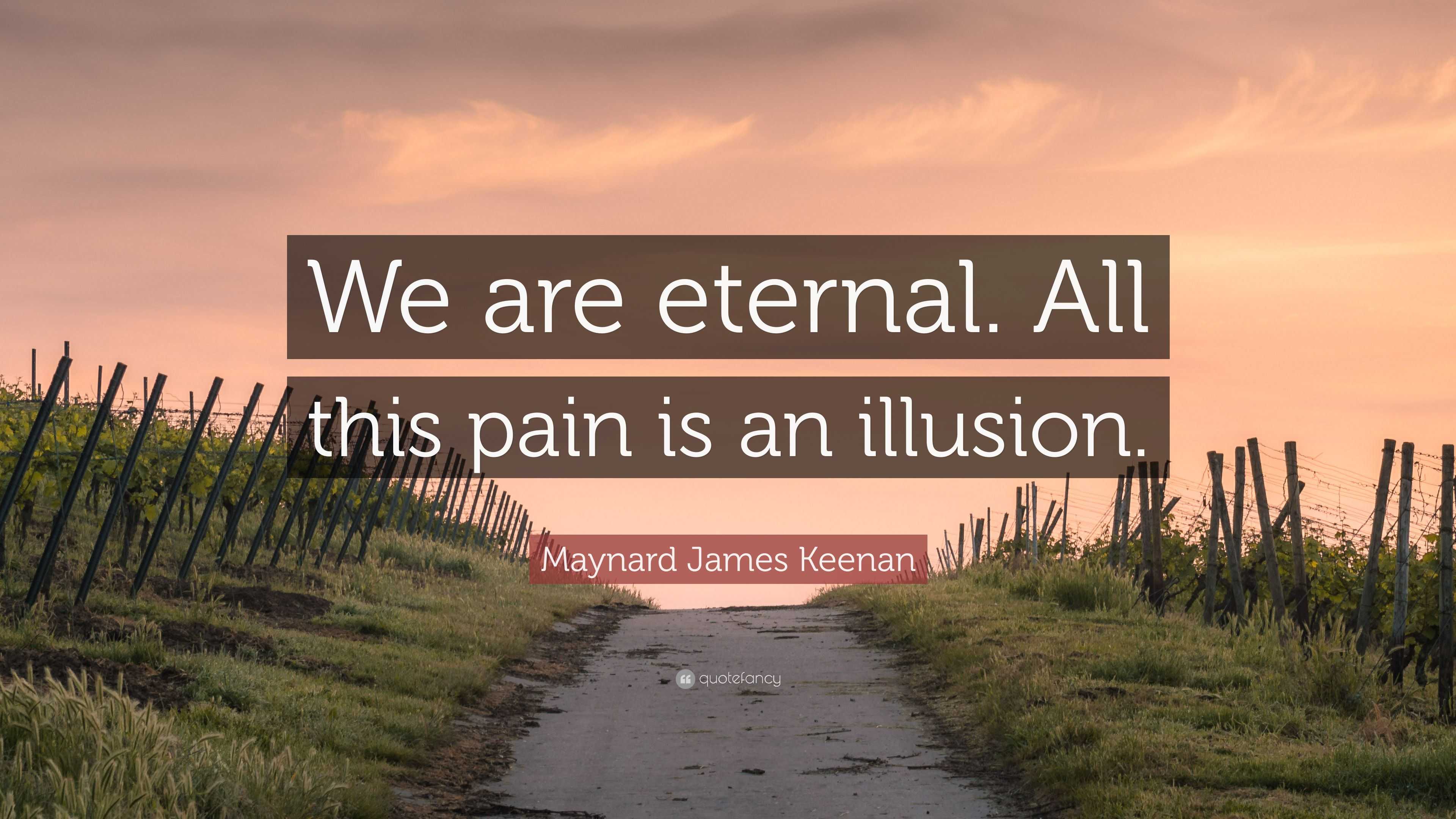 Maynard James Keenan Quote: “We are eternal. All this pain is an illusion.”