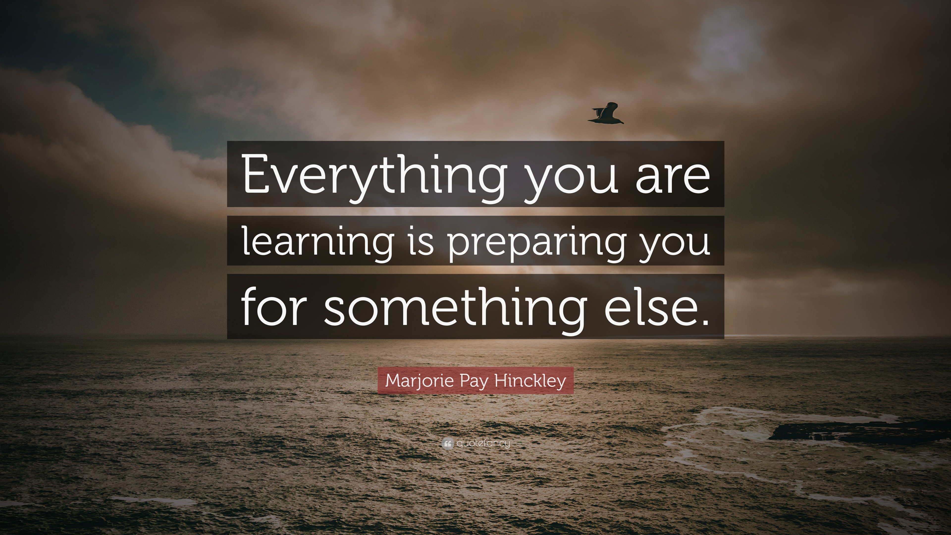 Marjorie Pay Hinckley Quote: “Everything you are learning is preparing ...