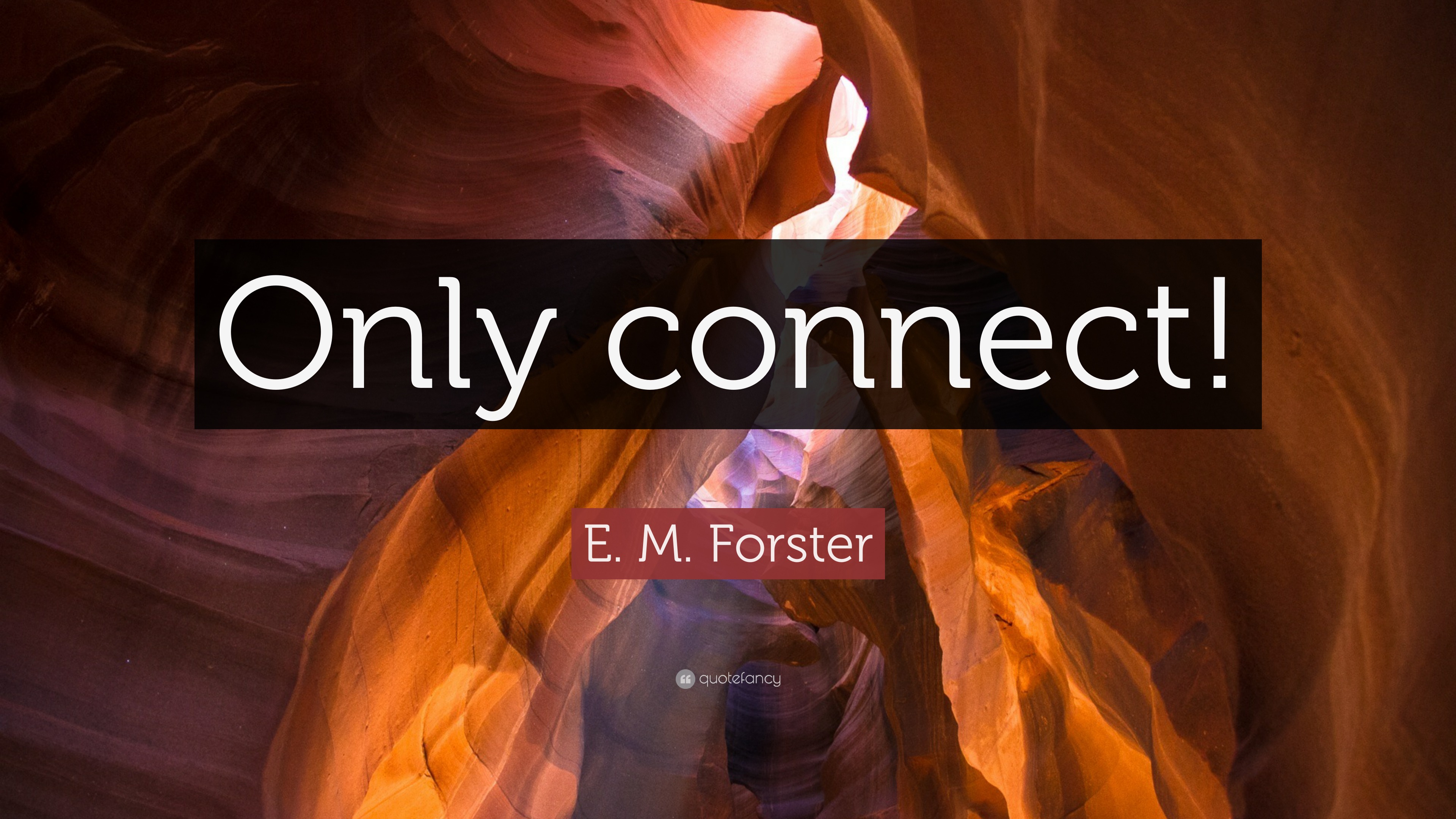 E. M. Forster Quote: “Only connect!”