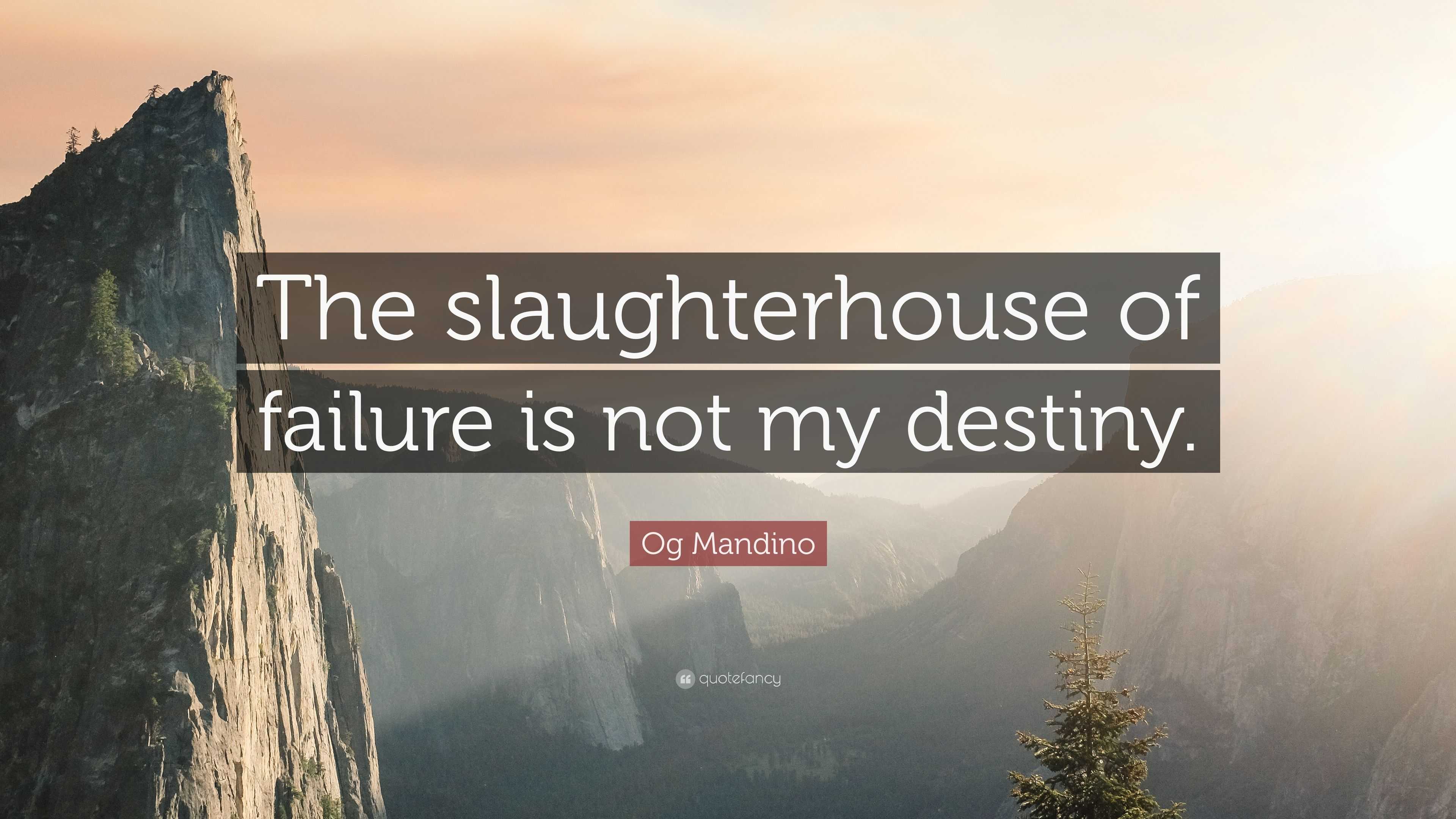 Og Mandino Quote: “The slaughterhouse of failure is not my destiny.”