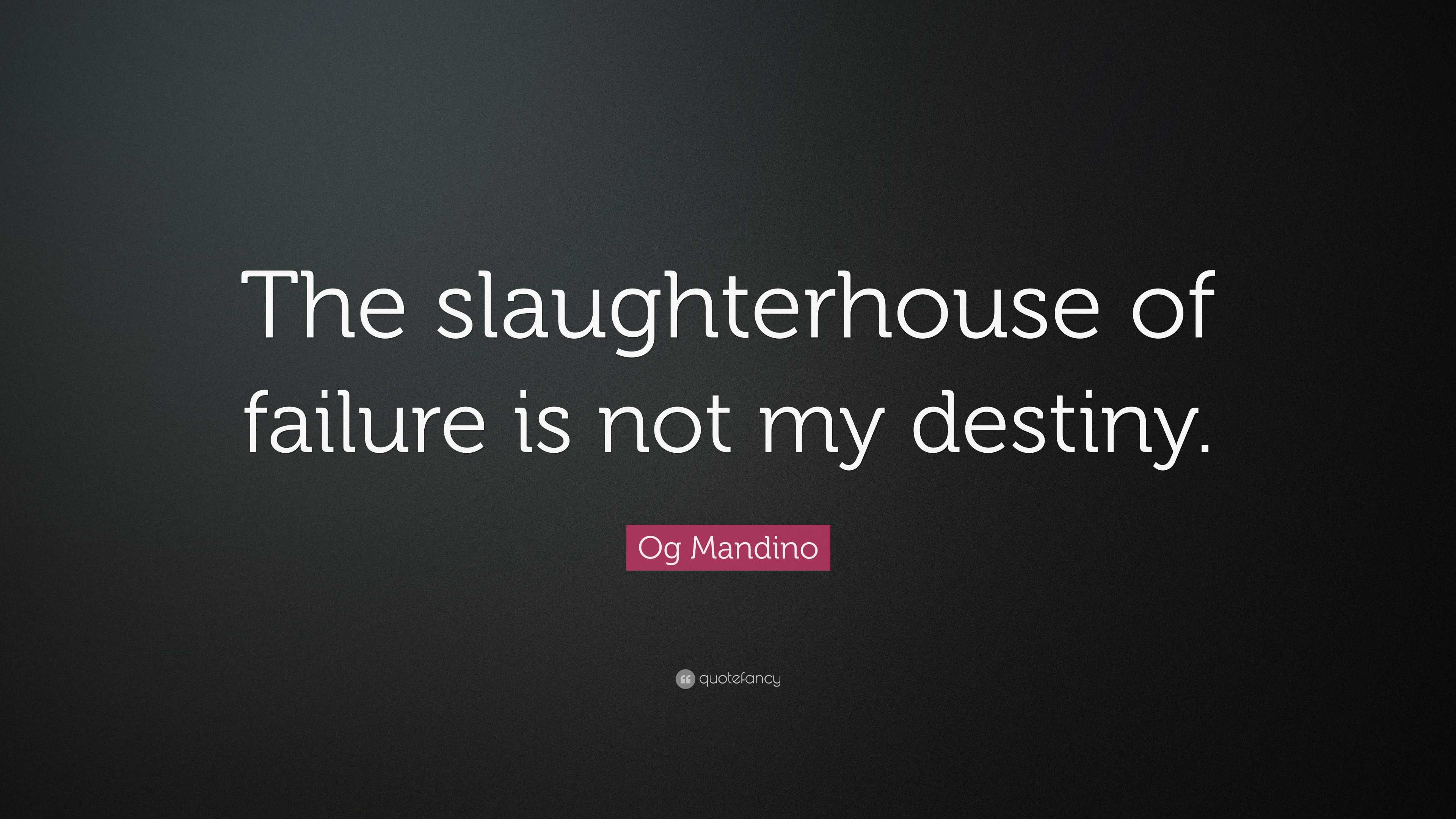 Og Mandino Quote: “The slaughterhouse of failure is not my destiny.”