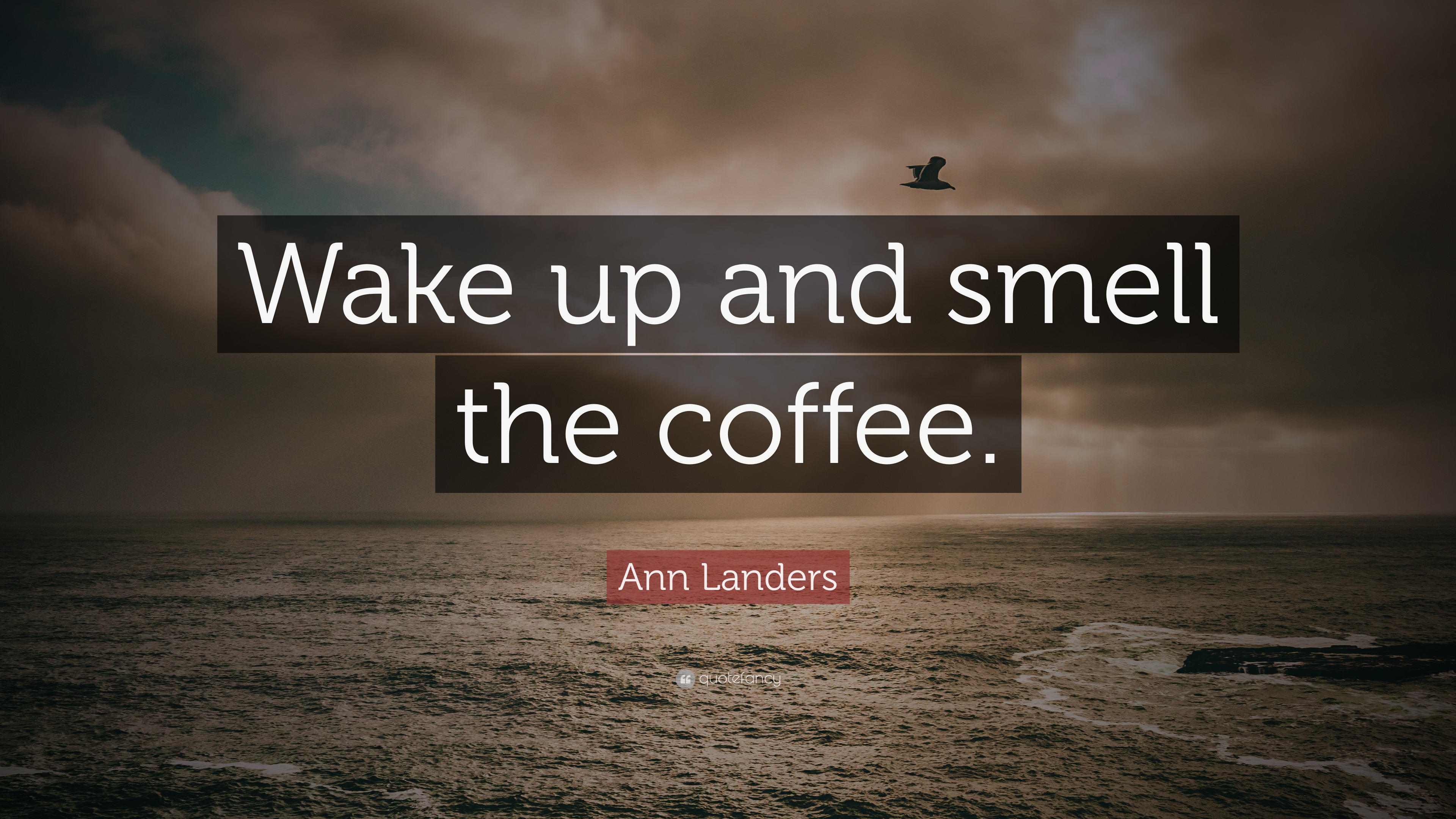 Wake Up And Smell The Coffee Quotes