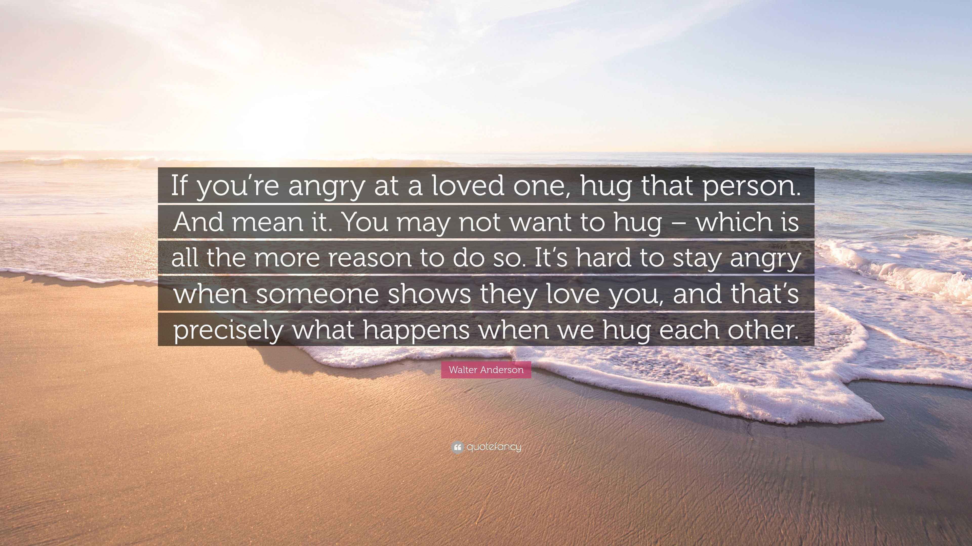 Walter Anderson Quote: “If you’re angry at a loved one, hug that person ...
