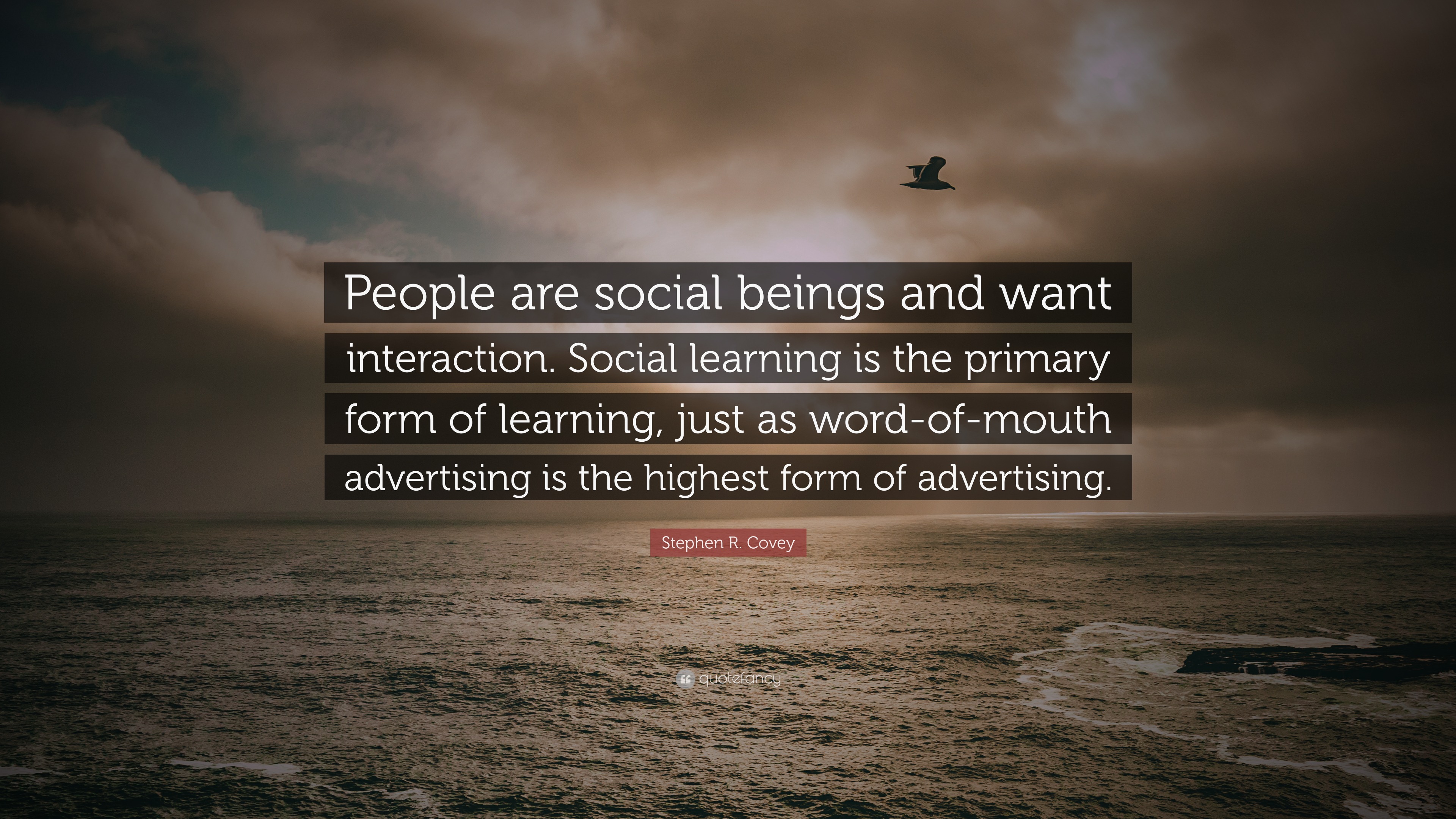 Stephen R. Covey Quote: “People are social beings and want interaction ...