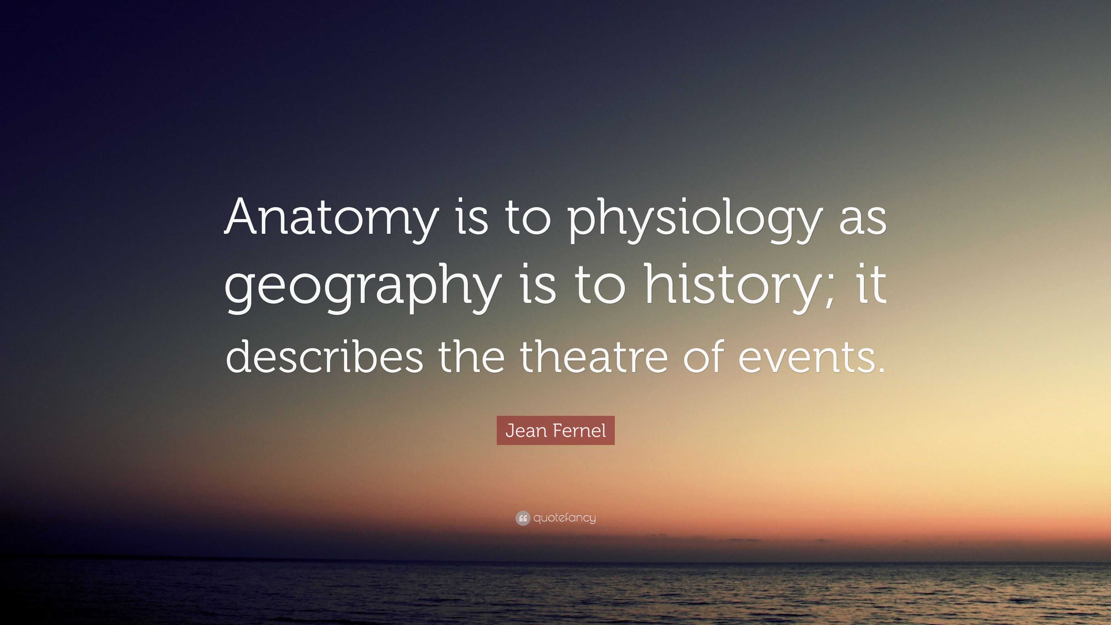 Jean Fernel Quote: “Anatomy is to physiology as geography is to history ...