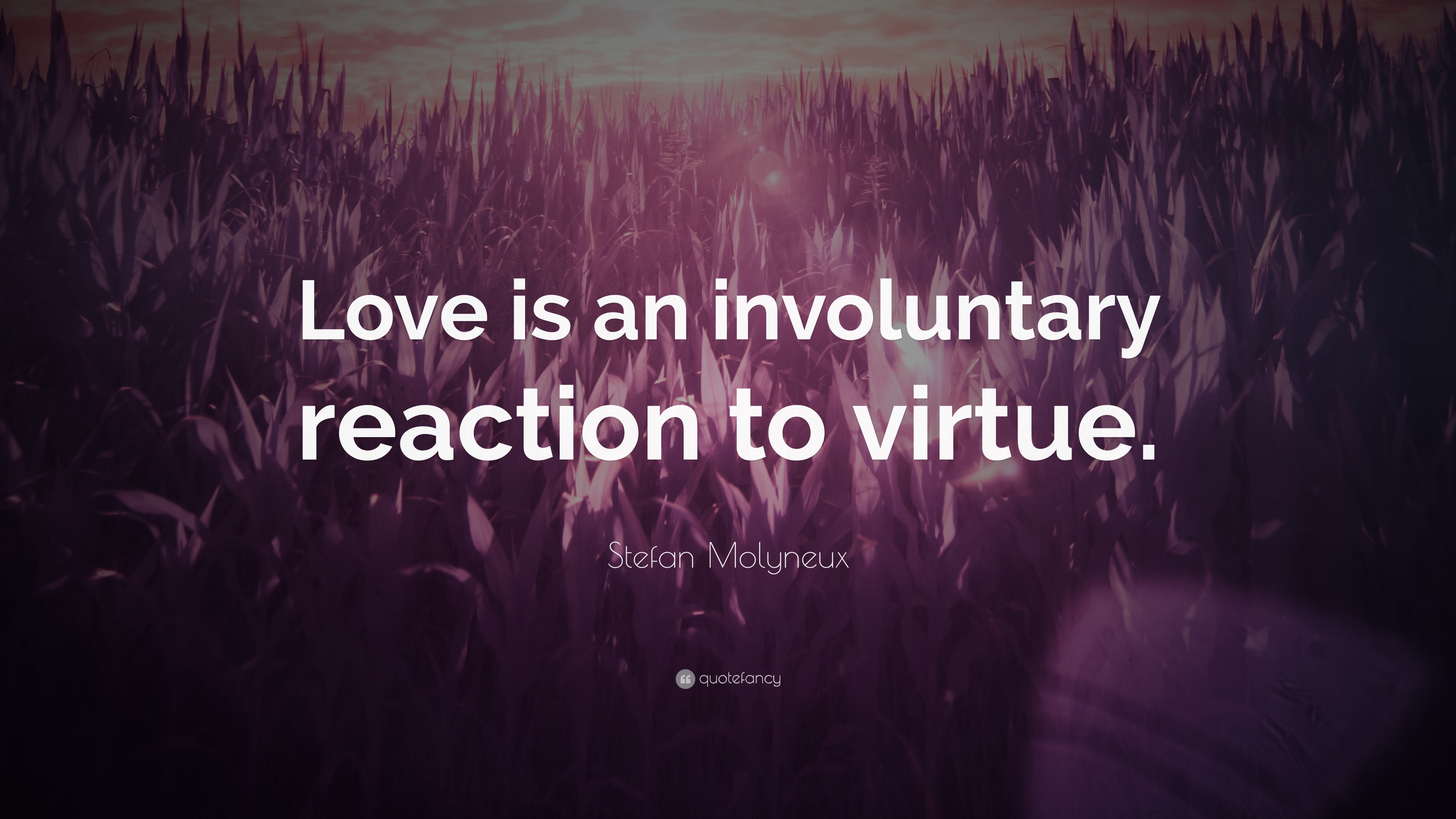 Stefan Molyneux Quote: “Love is an involuntary reaction to virtue.”
