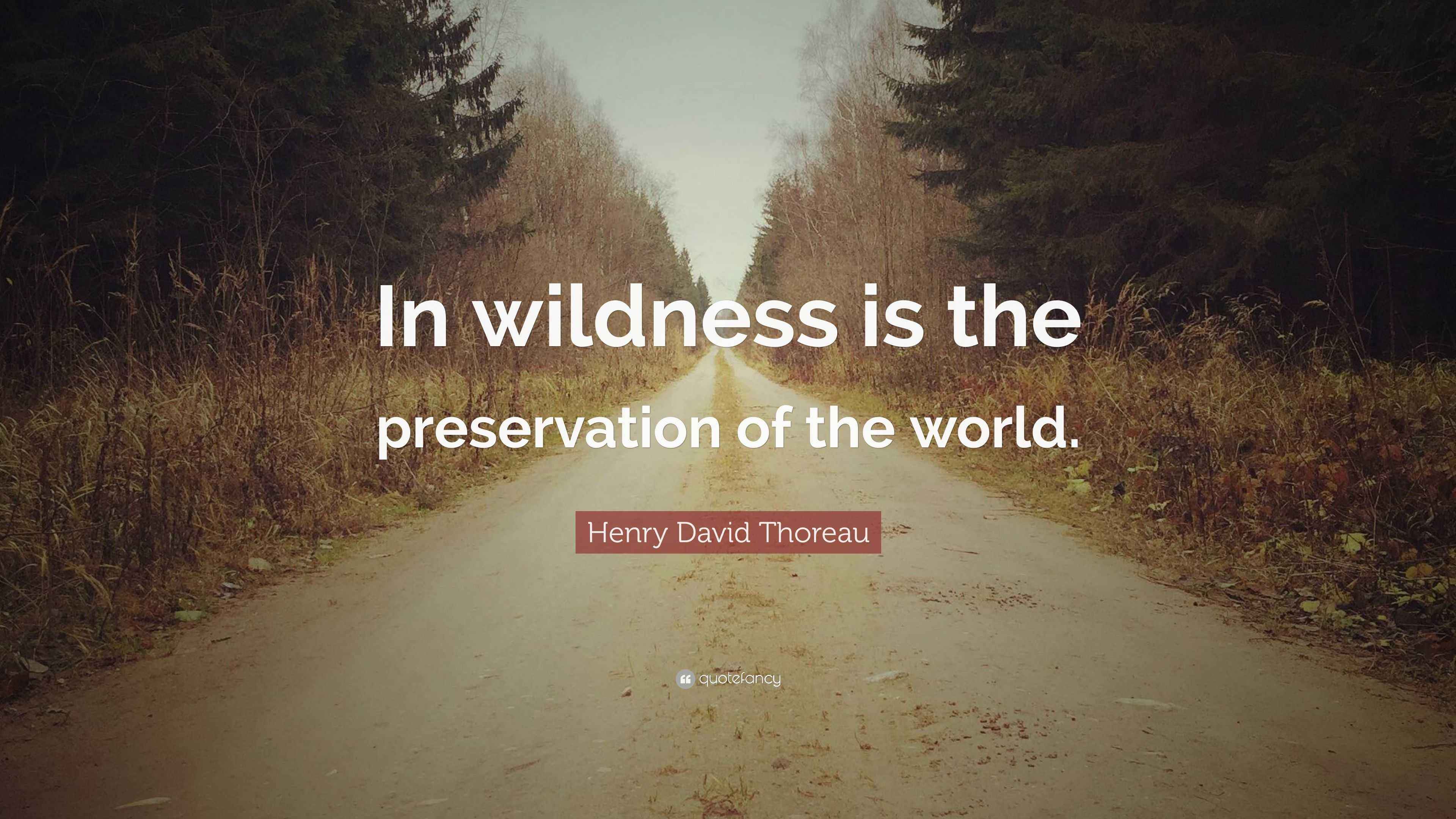 Henry David Thoreau Quote: “In wildness is the preservation of the world.”