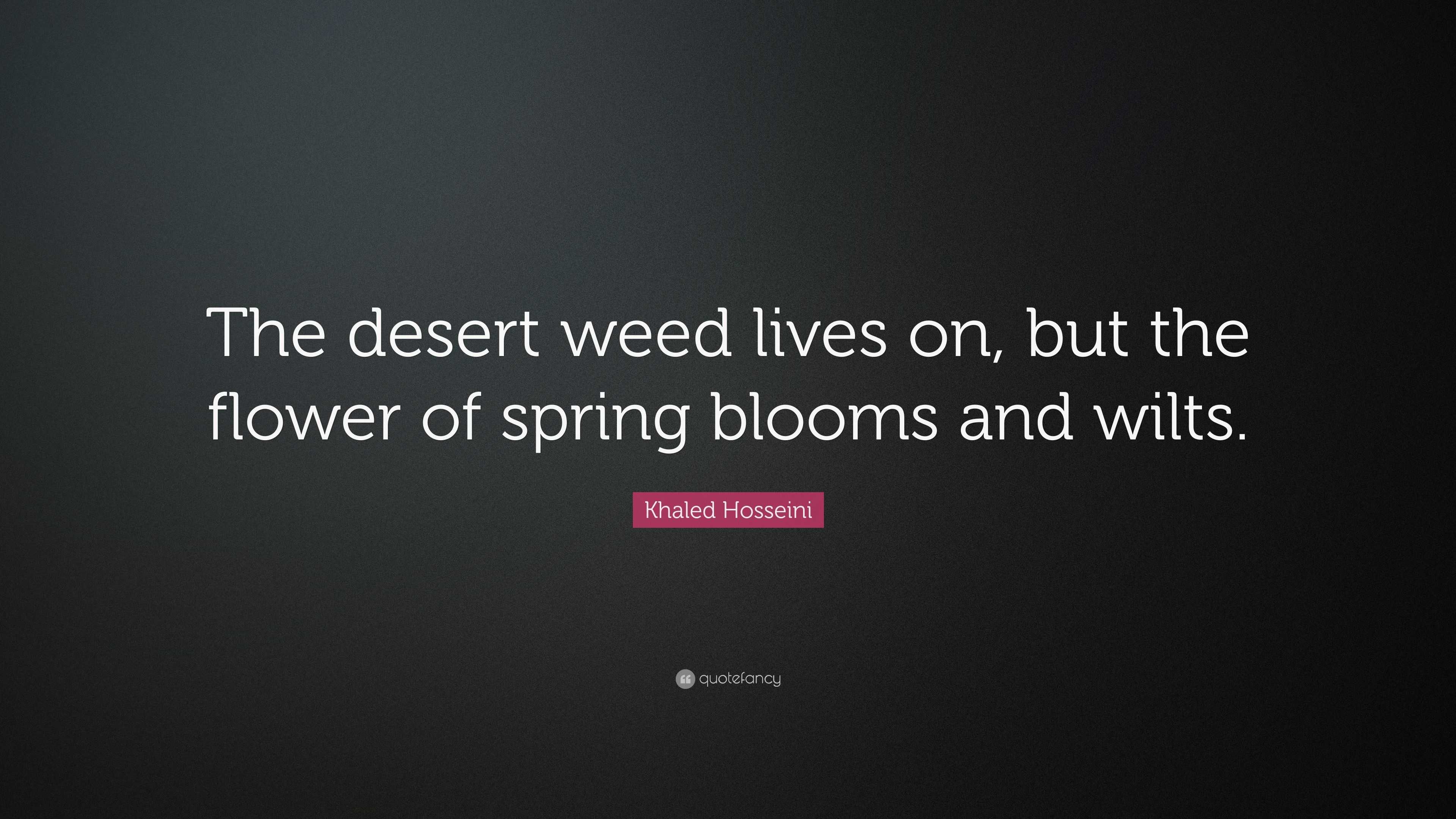 Khaled Hosseini Quote: “The desert weed lives on, but the flower of ...