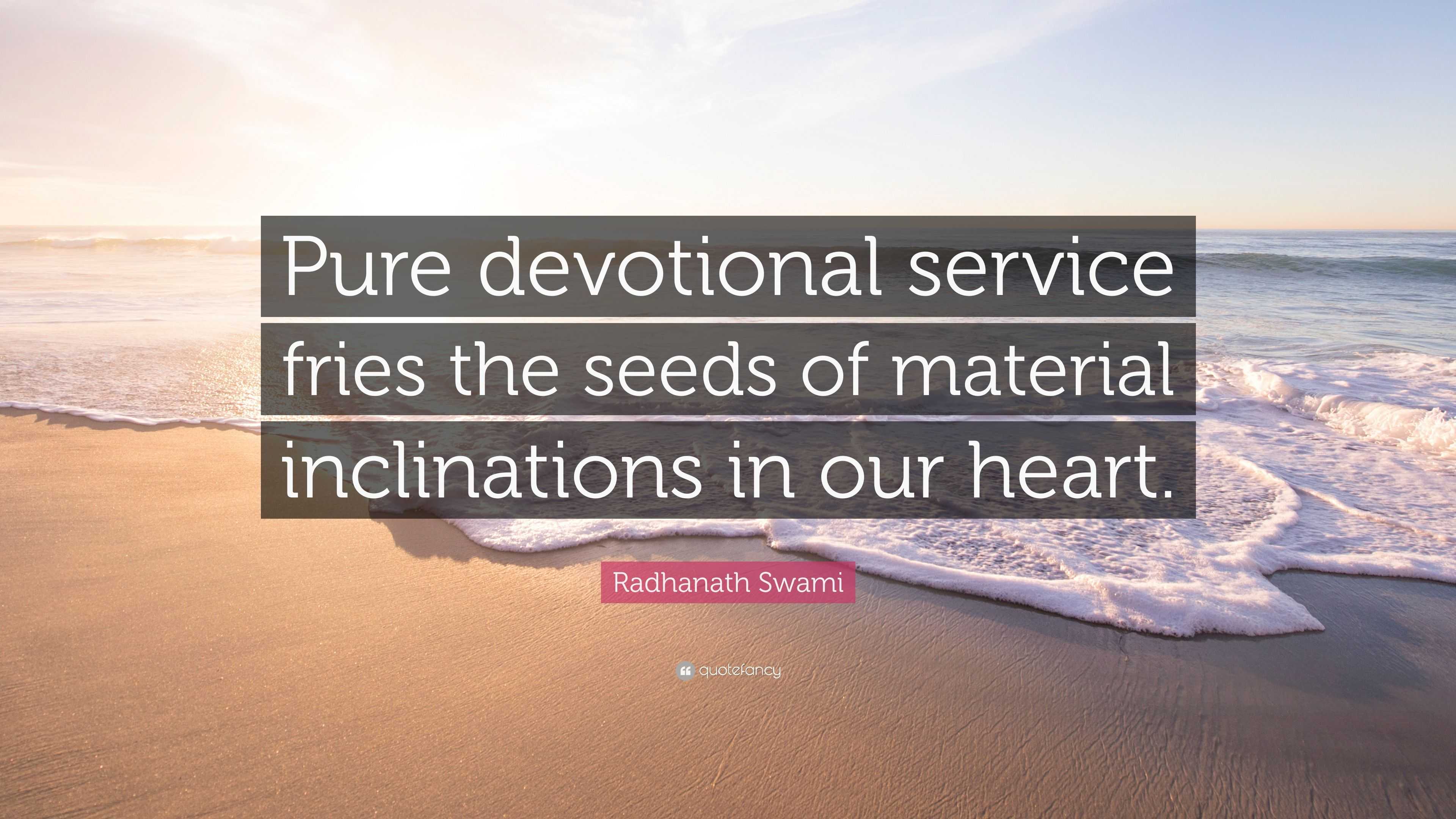 Radhanath Swami Quote: “Pure devotional service fries the seeds of ...