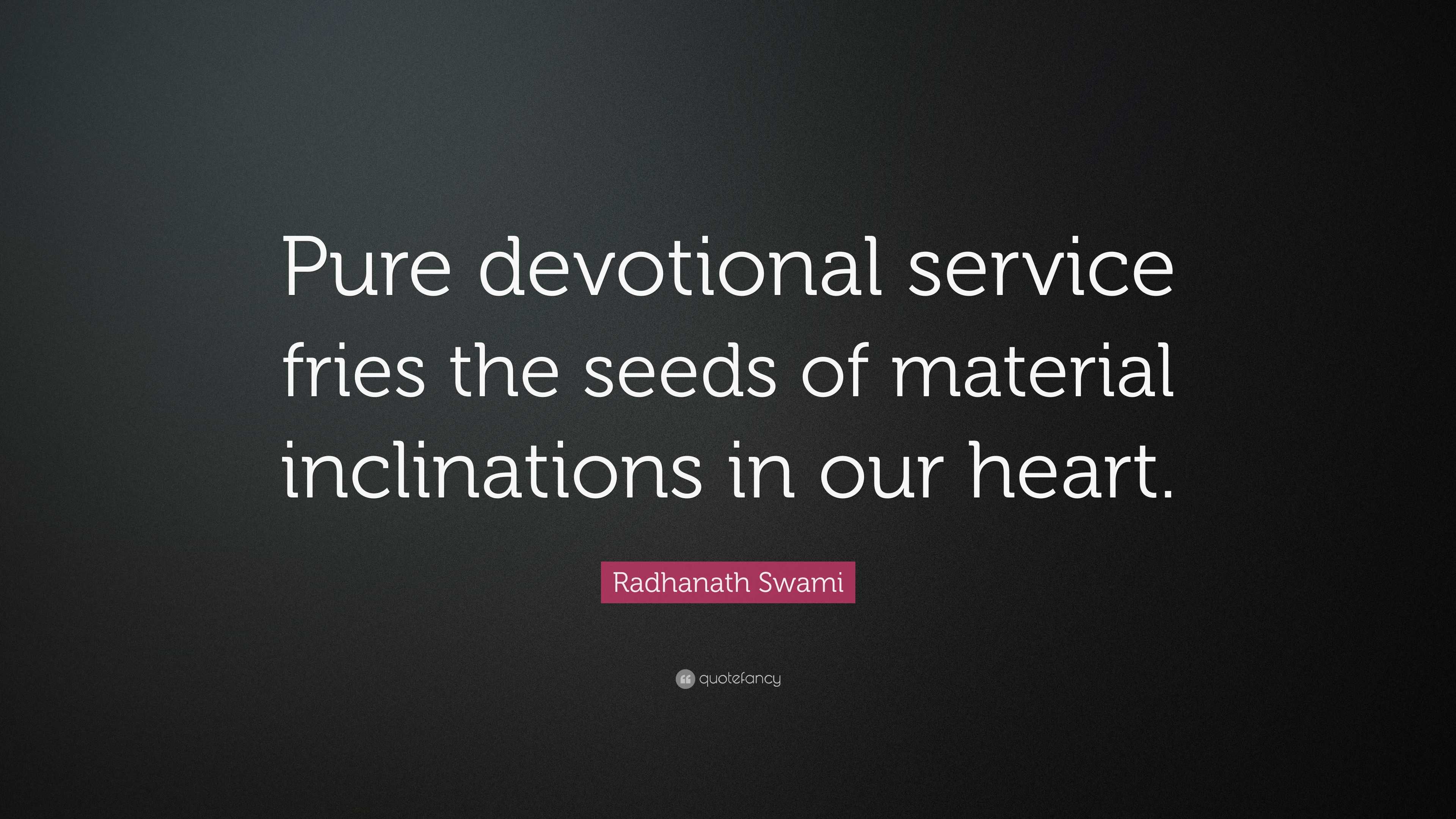Radhanath Swami Quote: “Pure devotional service fries the seeds of ...