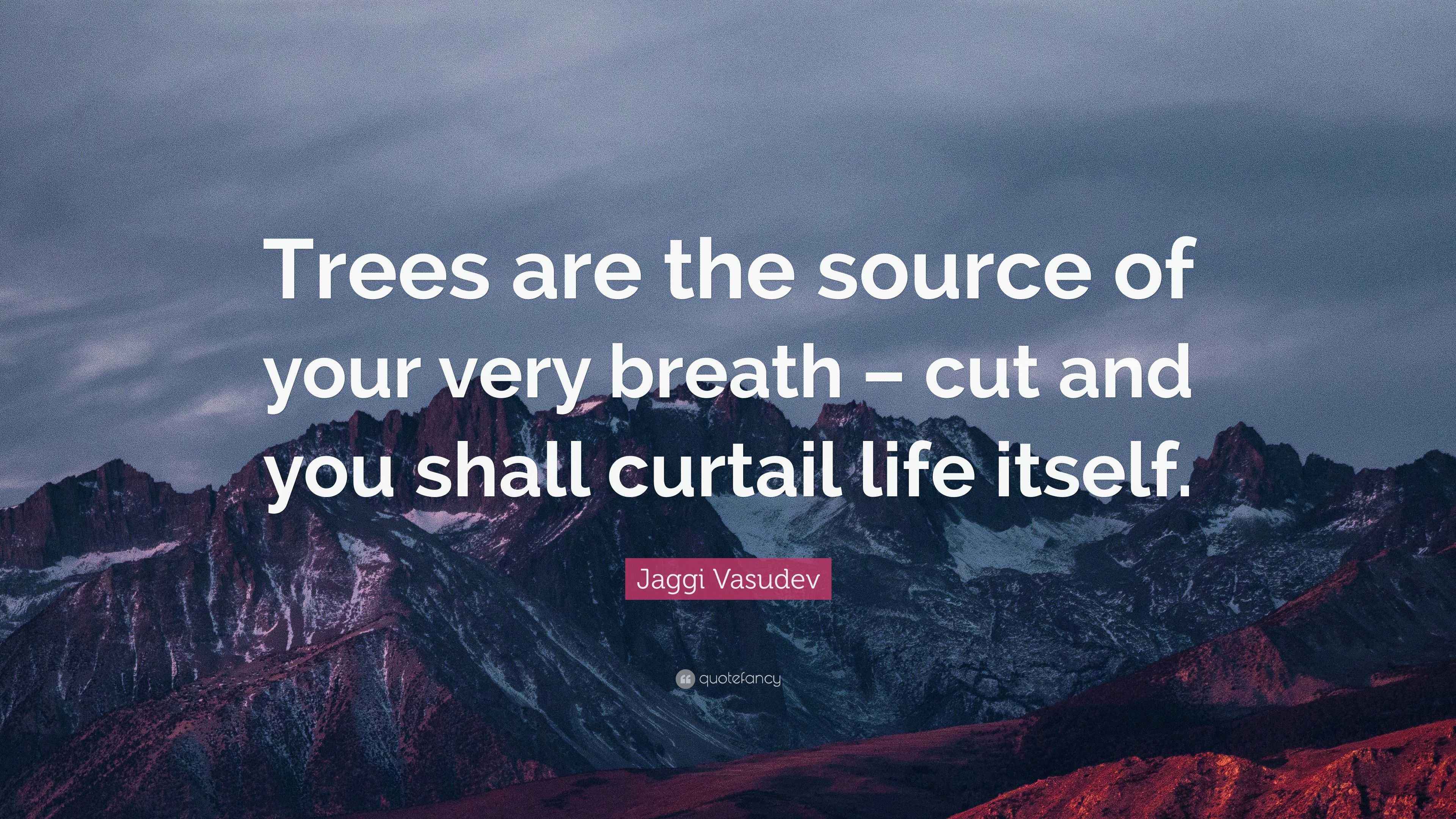 Jaggi Vasudev Quote: “Trees are the source of your very breath – cut ...