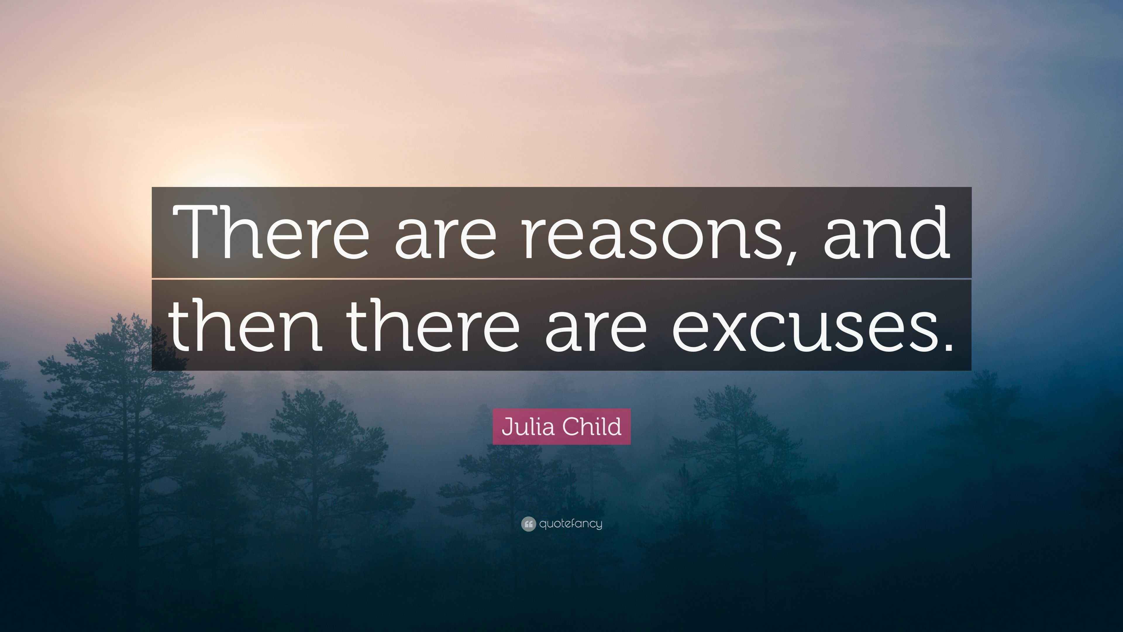 Julia Child Quote: “There are reasons, and then there are excuses.”
