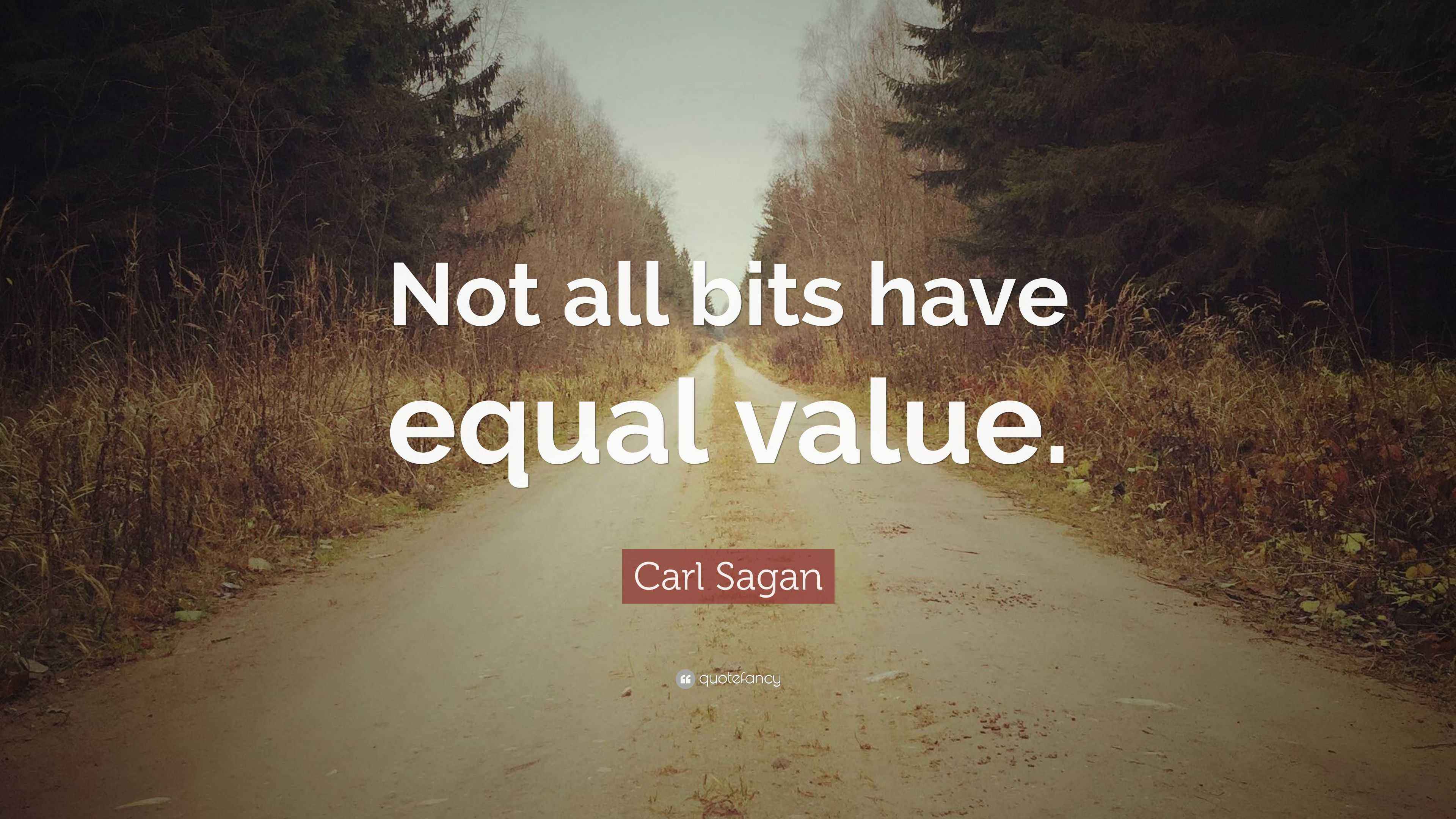 Carl Sagan Quote: “Not all bits have equal value.”