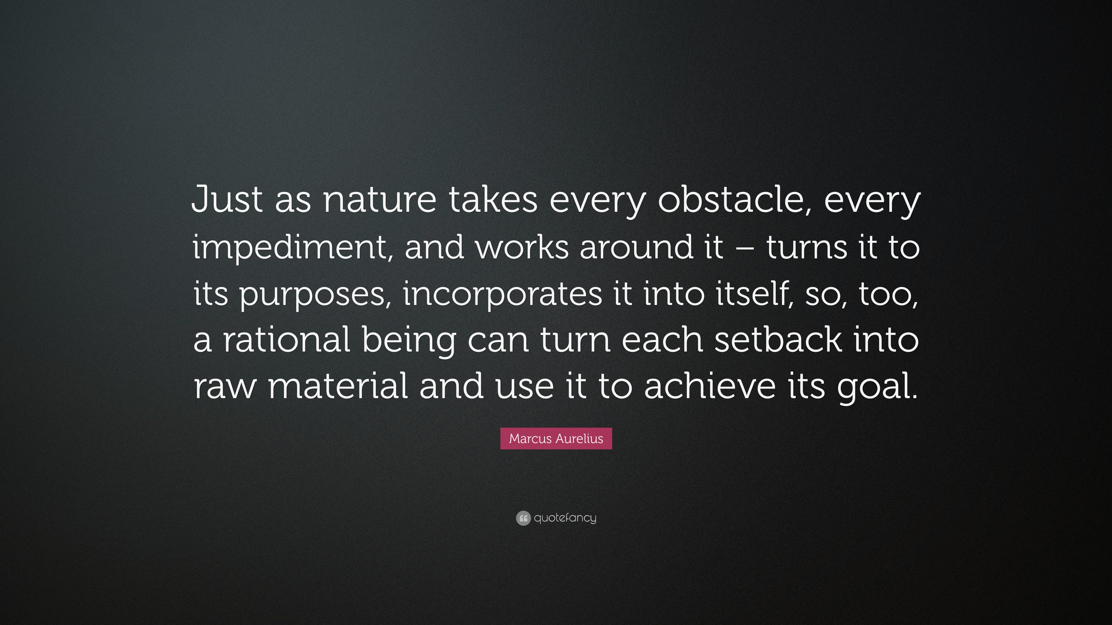 Marcus Aurelius Quote: “Just as nature takes every obstacle, every ...