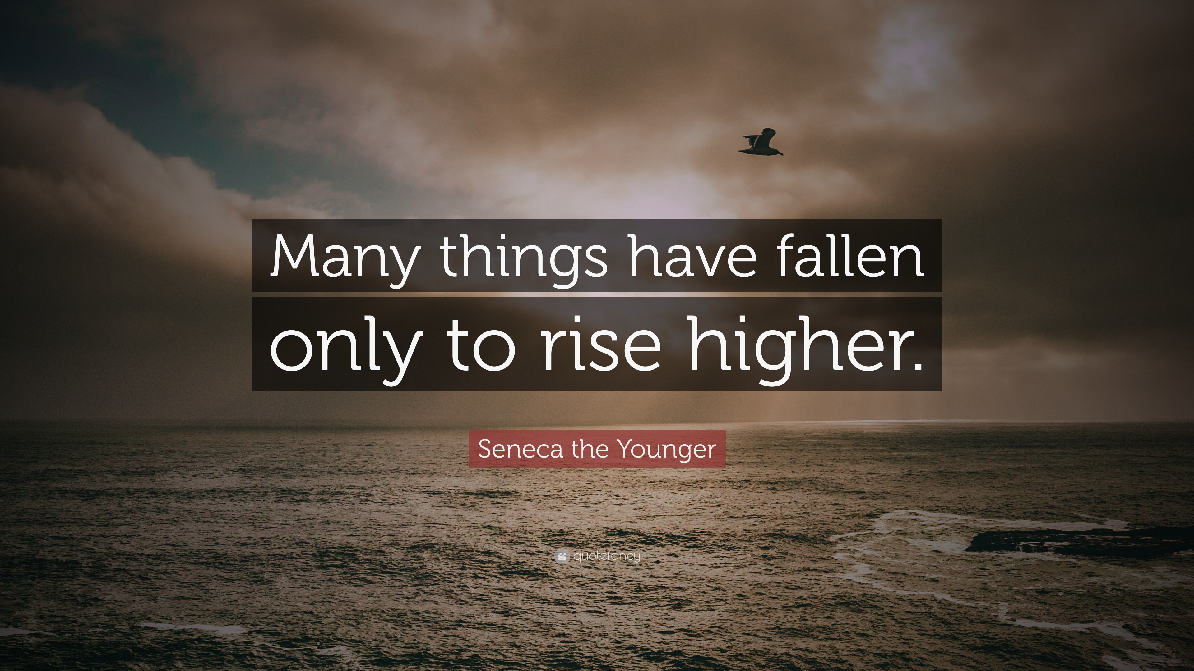 Seneca the Younger Quote: “Many things have fallen only to rise higher.”