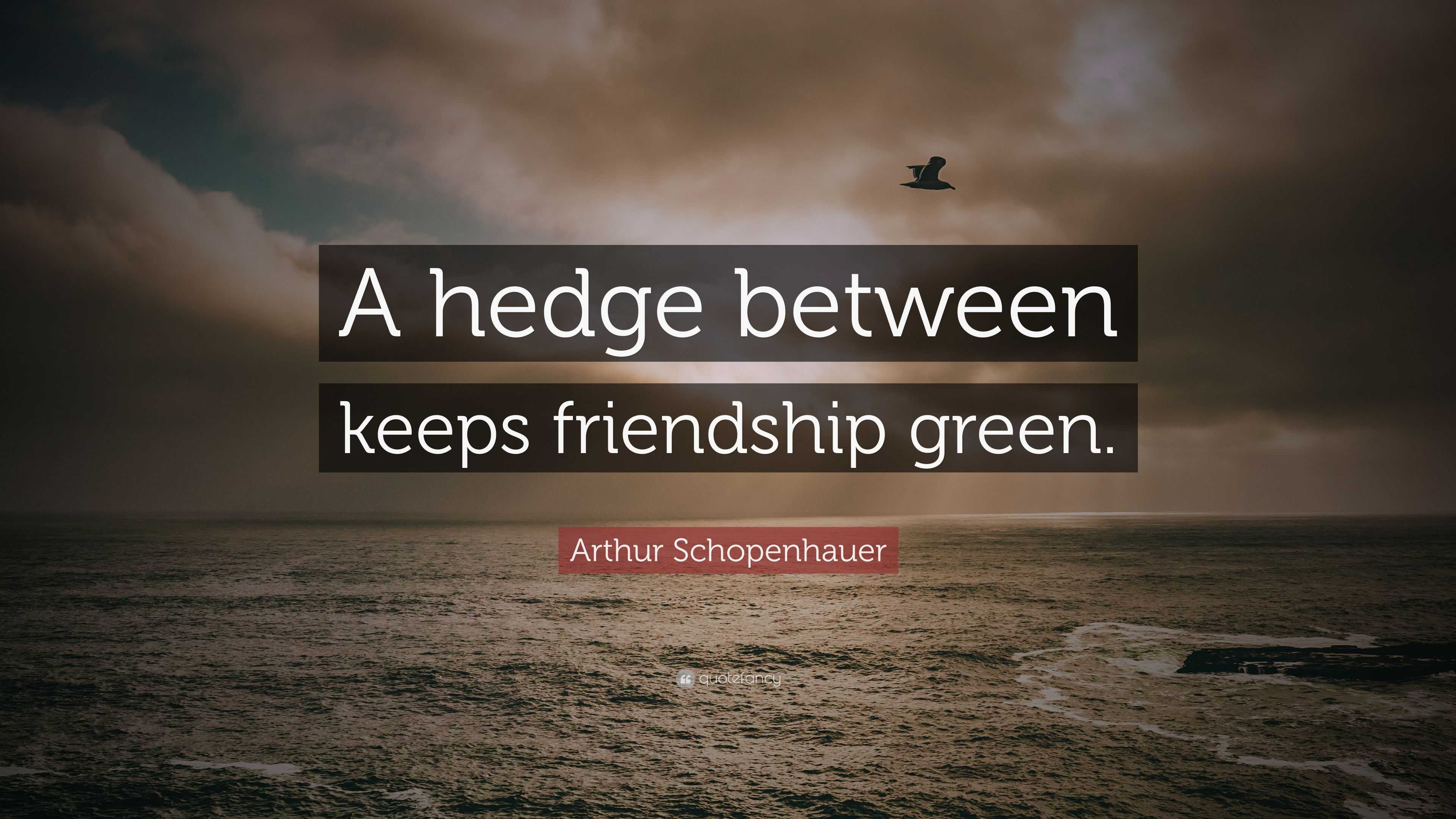 Arthur Schopenhauer Quote: “A hedge between keeps friendship green.”
