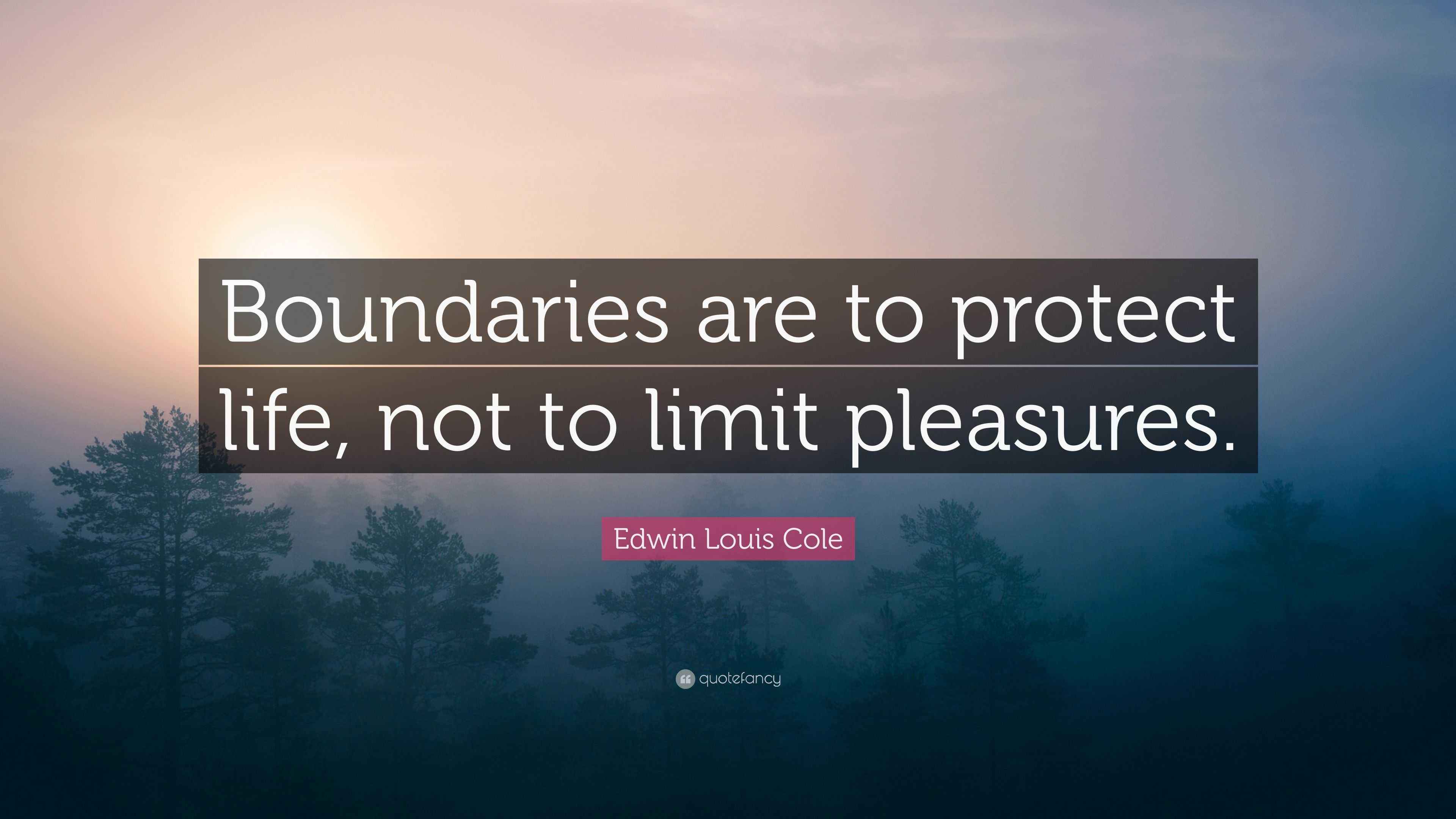 Edwin Louis Cole Quote: “Boundaries are to protect life, not to limit ...