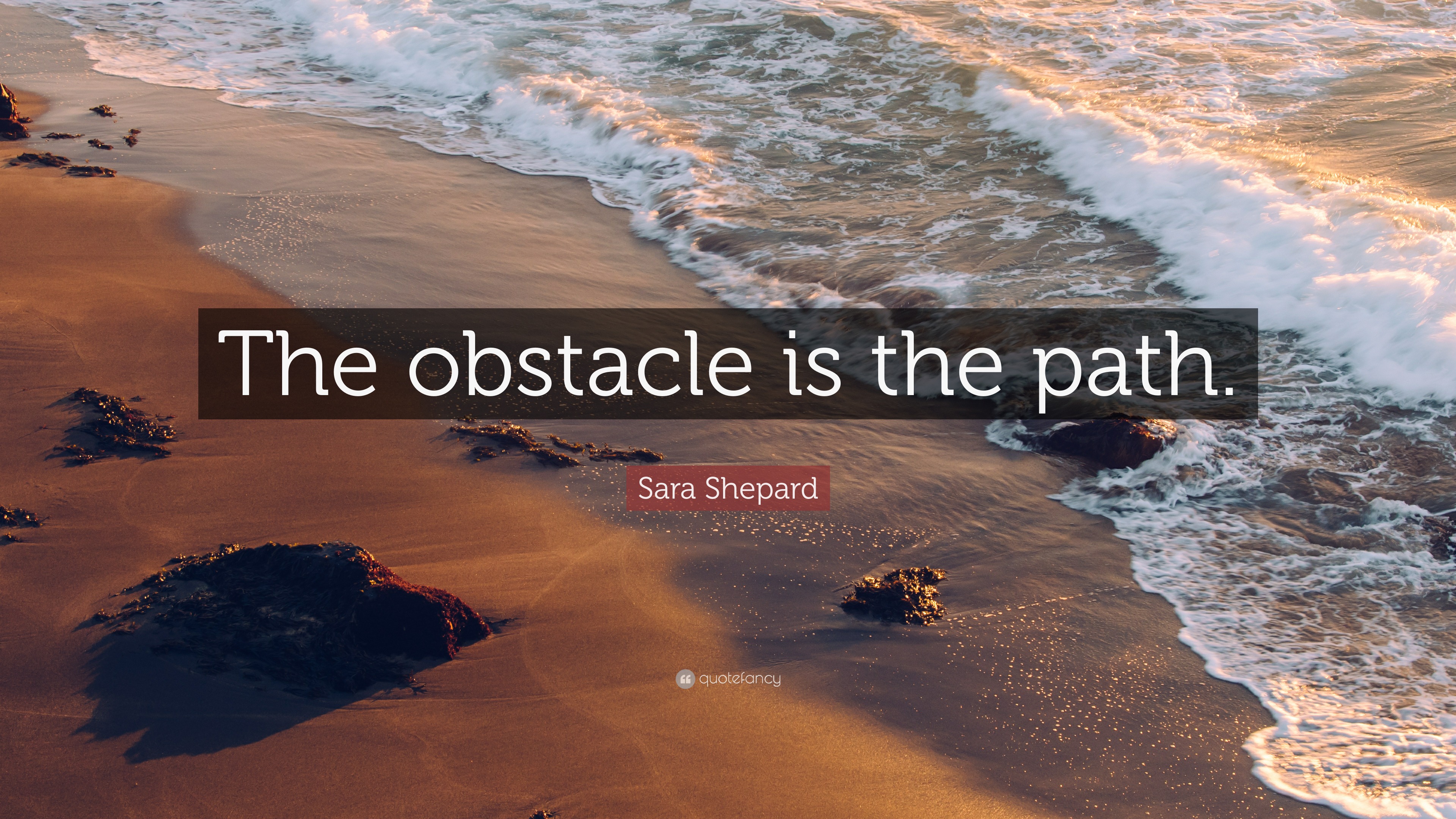 Sara Shepard Quote: “The obstacle is the path.”