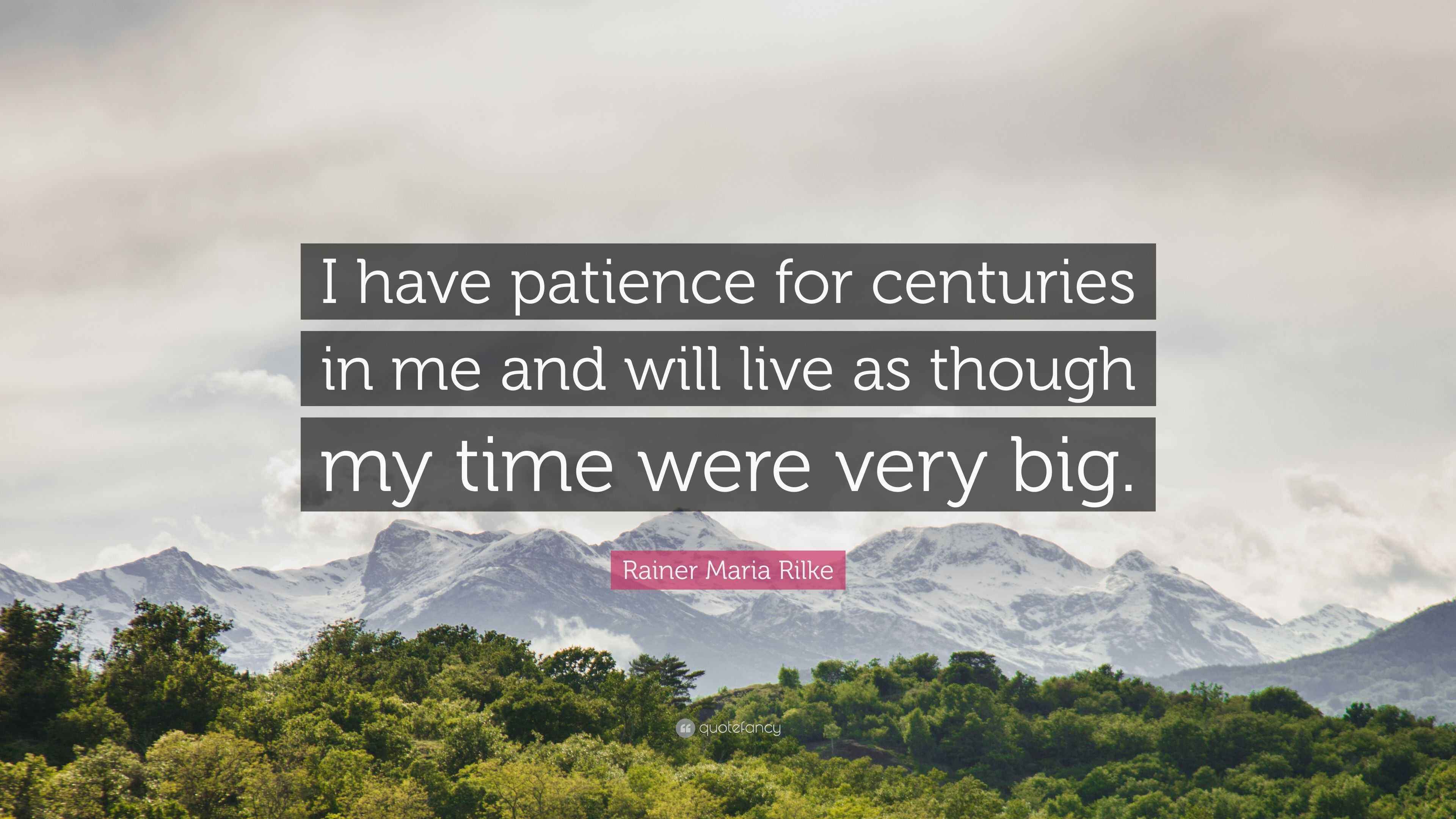 Rainer Maria Rilke Quote: “I have patience for centuries in me and will ...
