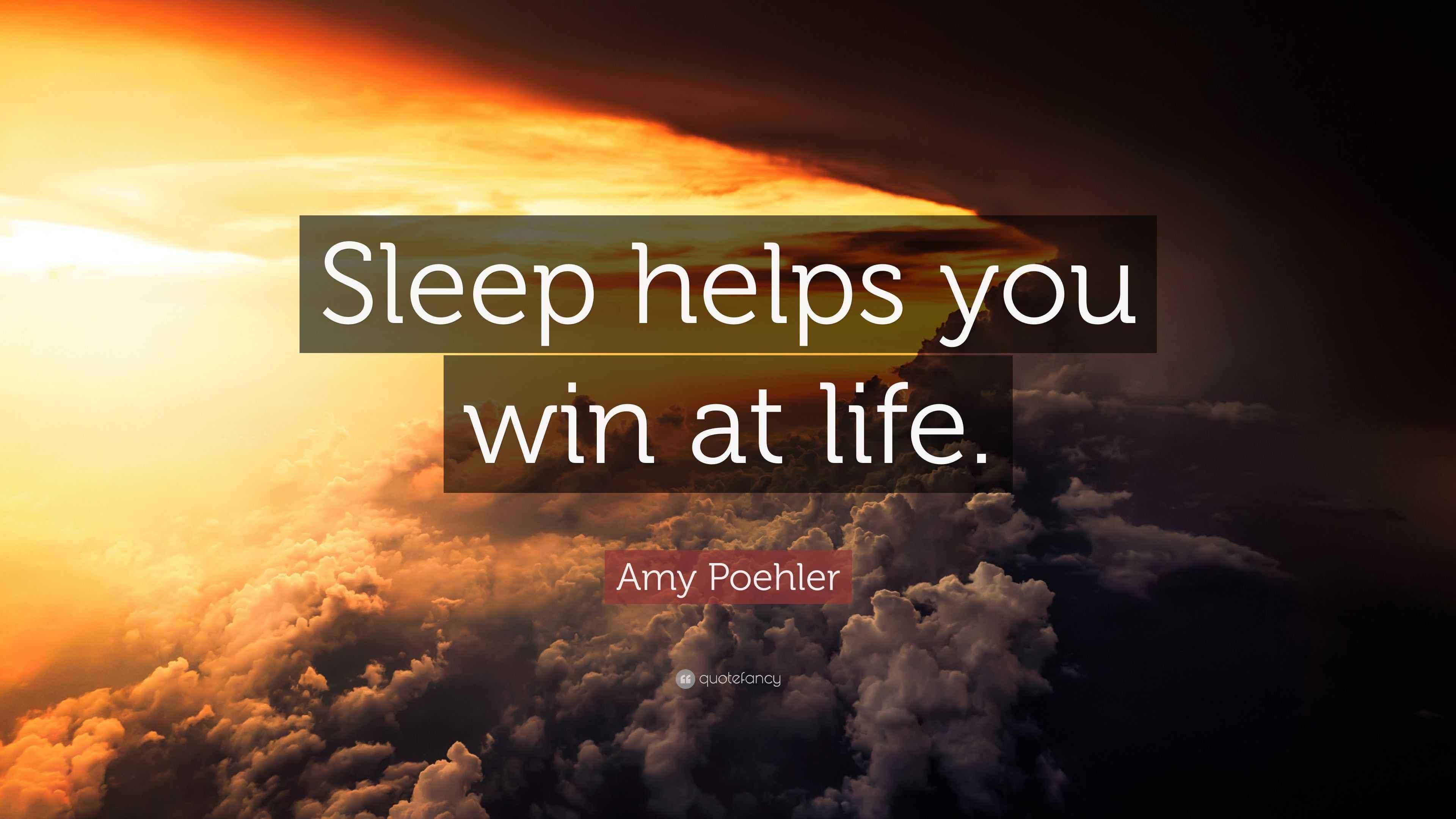 Amy Poehler Quote: “Sleep helps you win at life.”