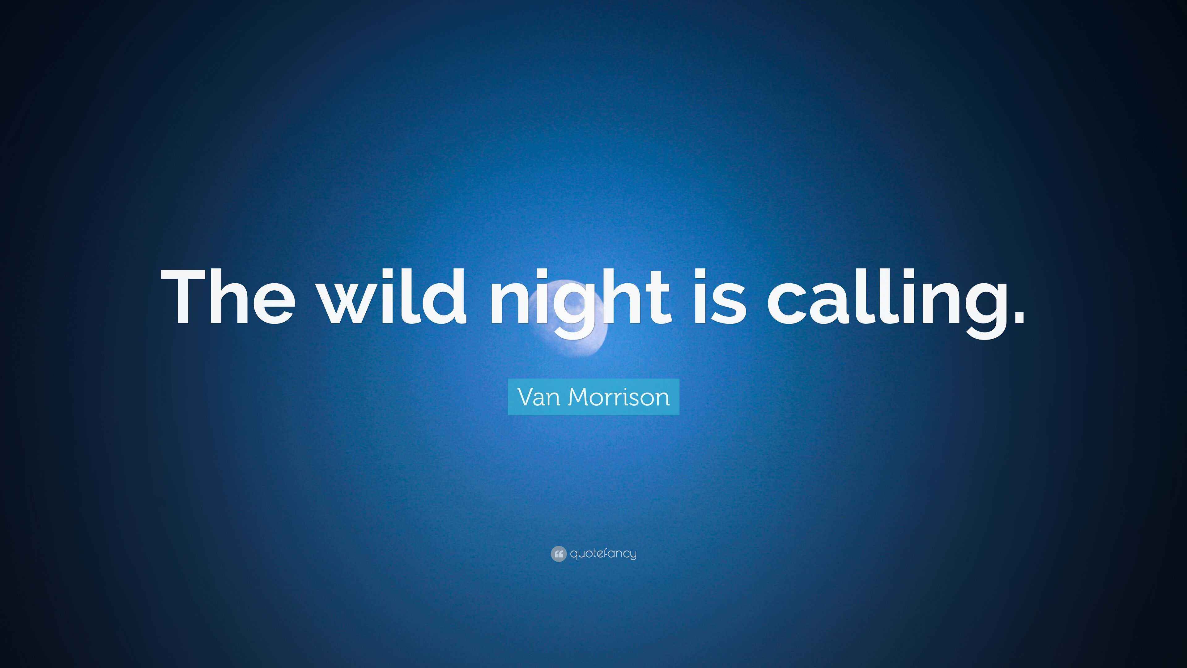 Van Morrison Quote: “The wild night is calling.”