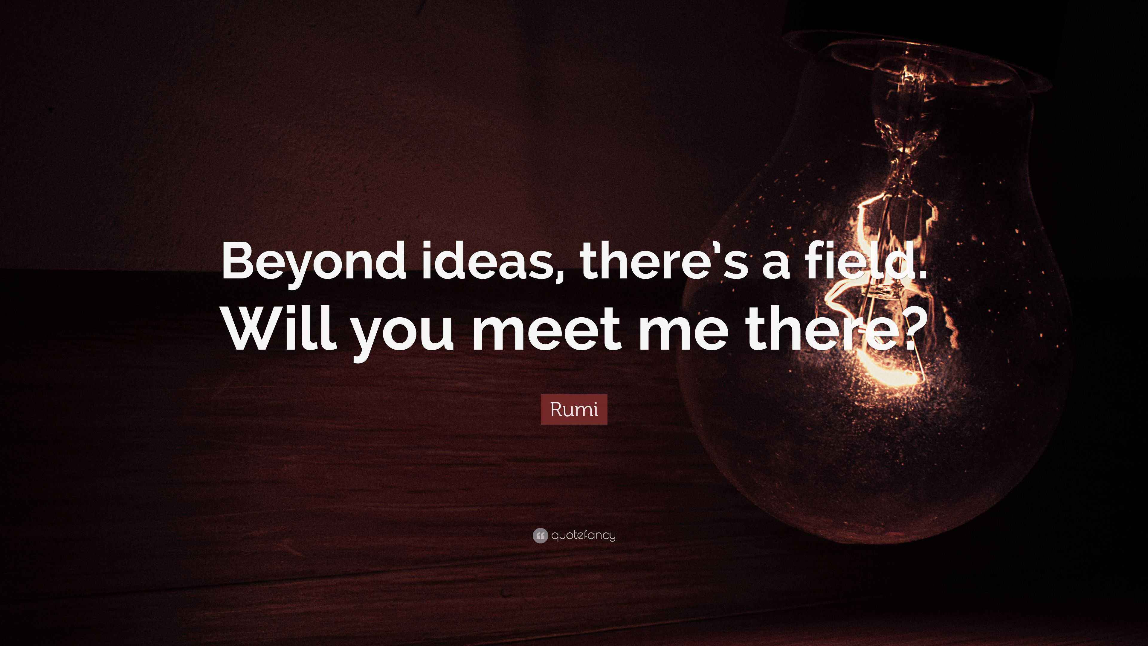 Rumi Quote: “Beyond ideas, there’s a field. Will you meet me there?”