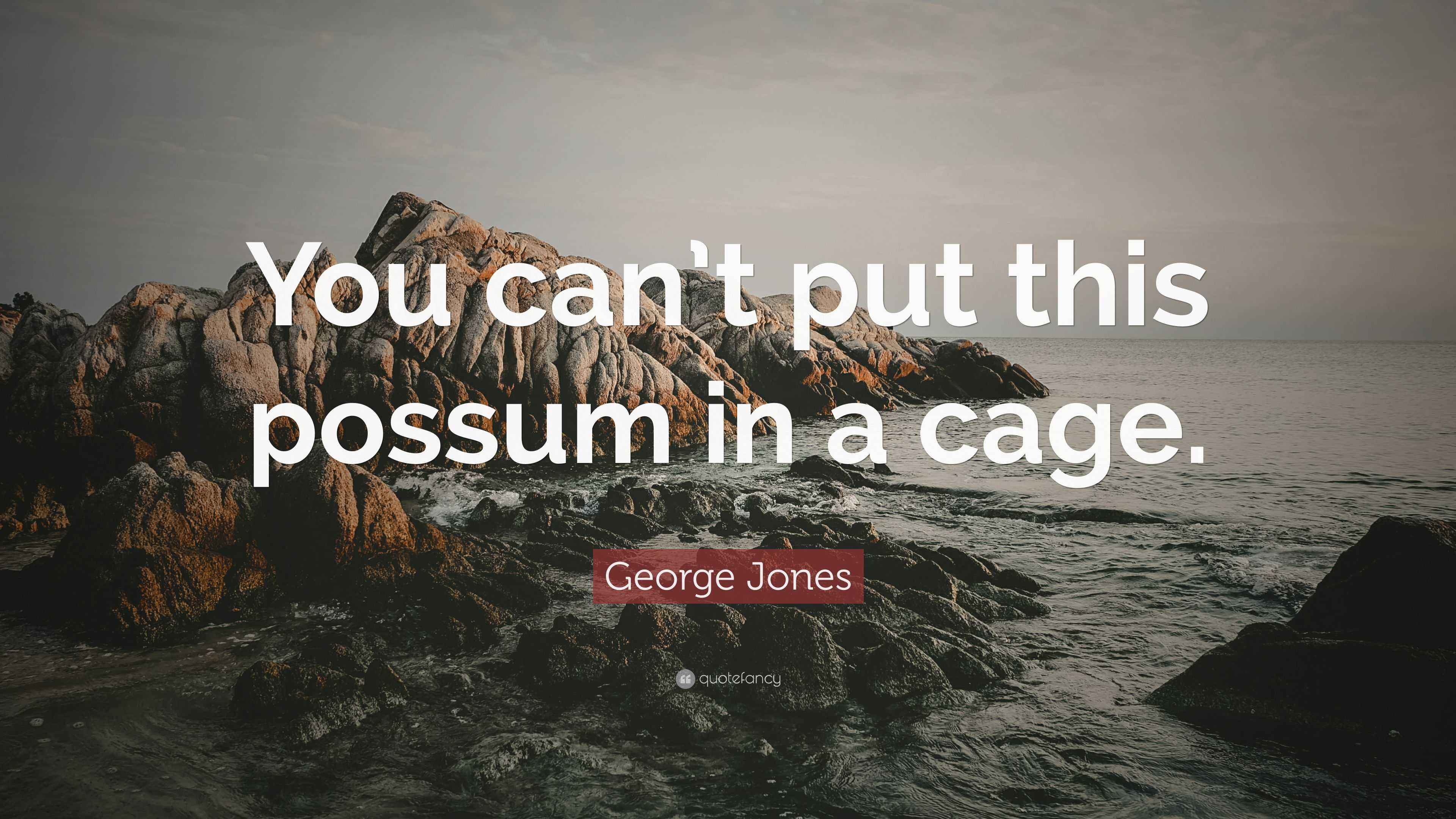George Jones Quote: “You can’t put this possum in a cage.”