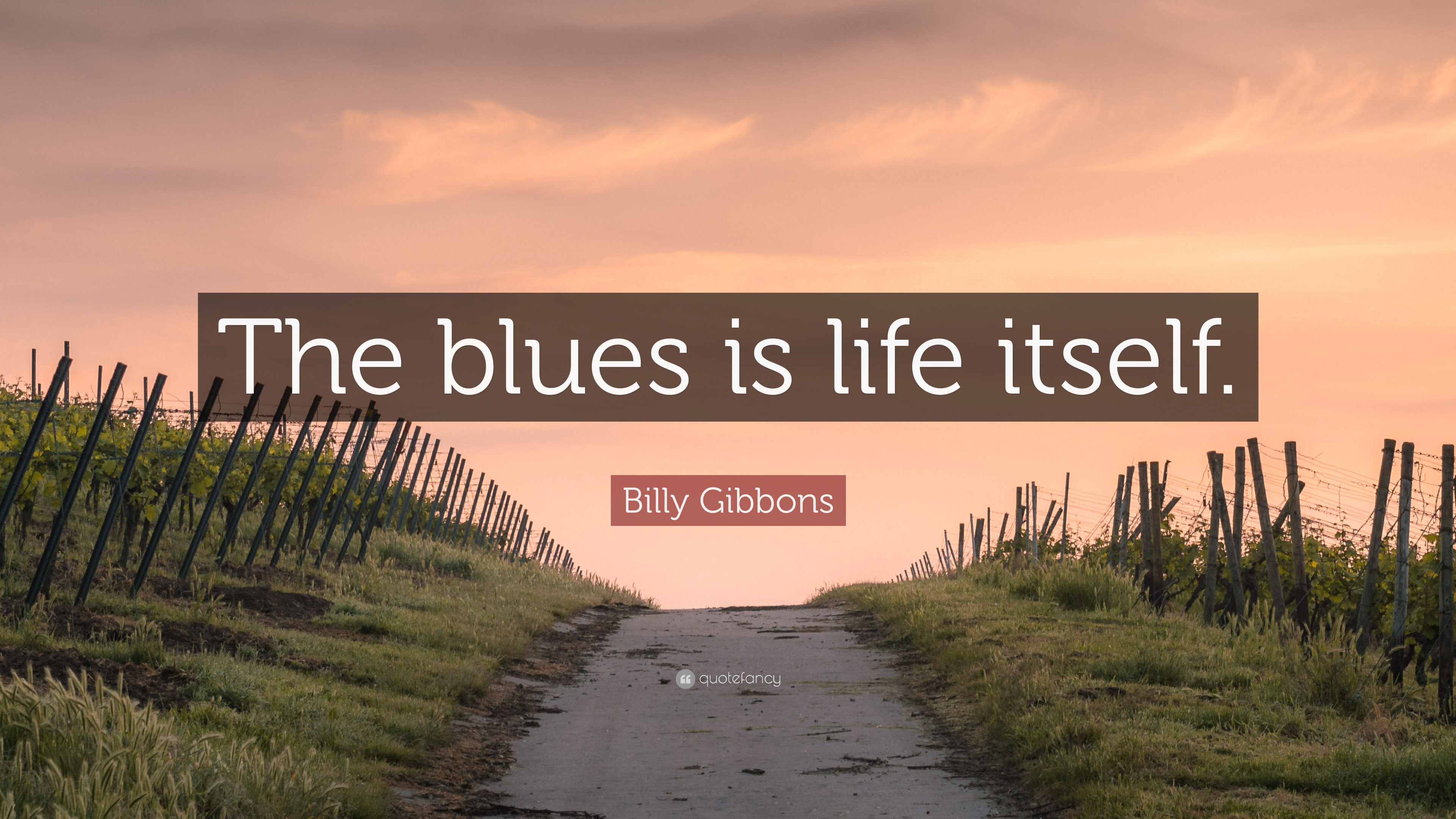 Billy Gibbons Quote: “The blues is life itself.”