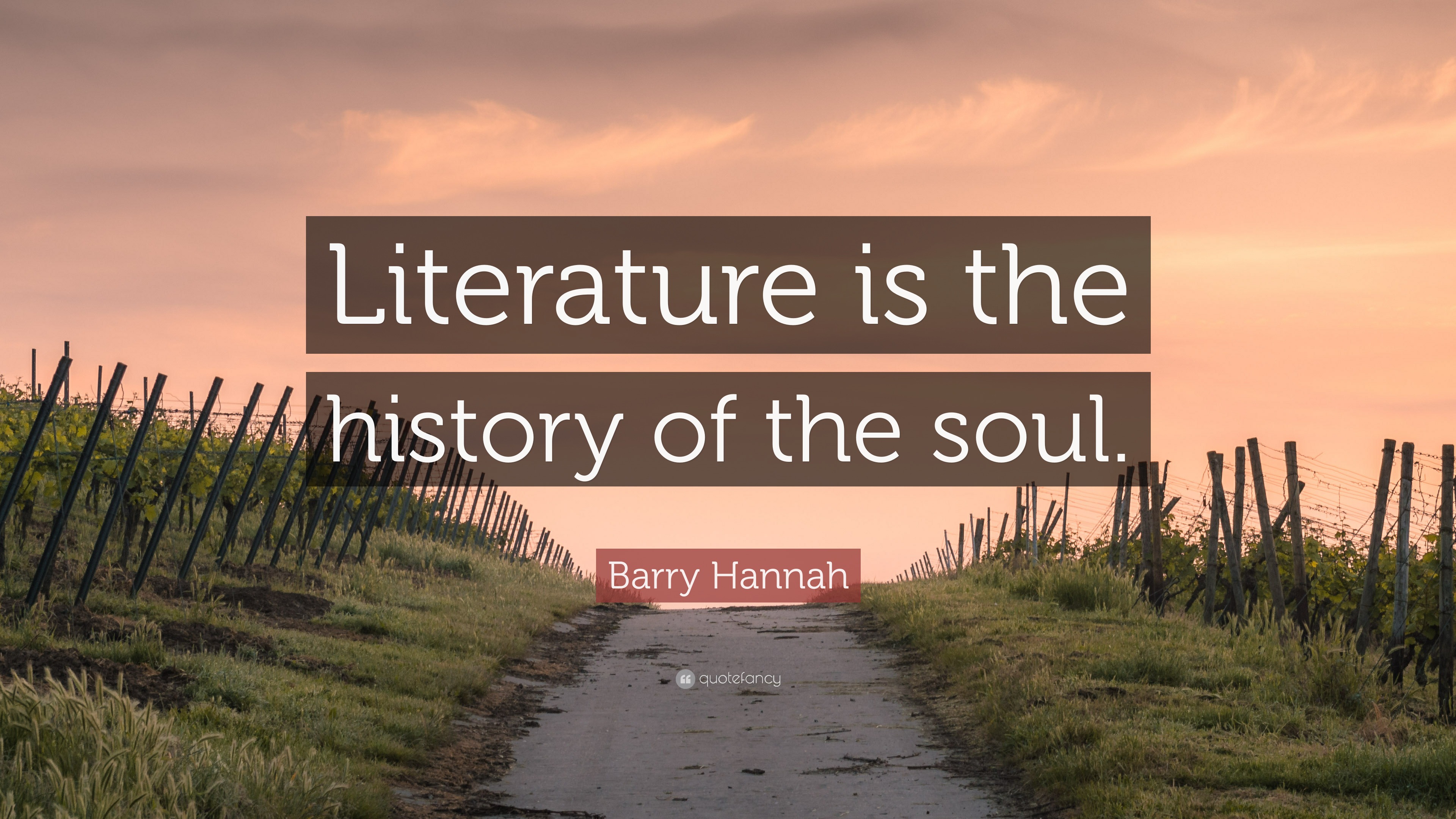 Barry Hannah Quote: “Literature is the history of the soul.”