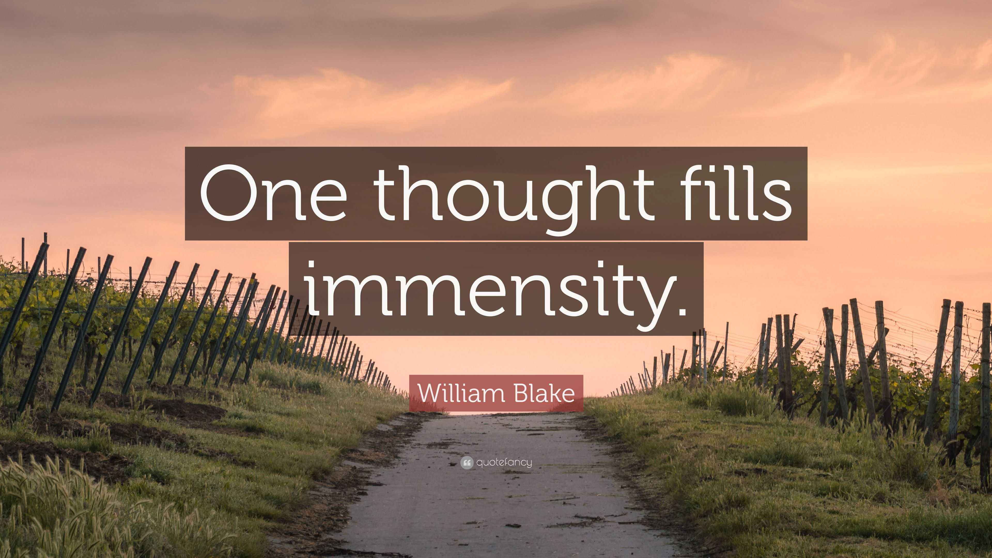 William Blake Quote: “One thought fills immensity.”