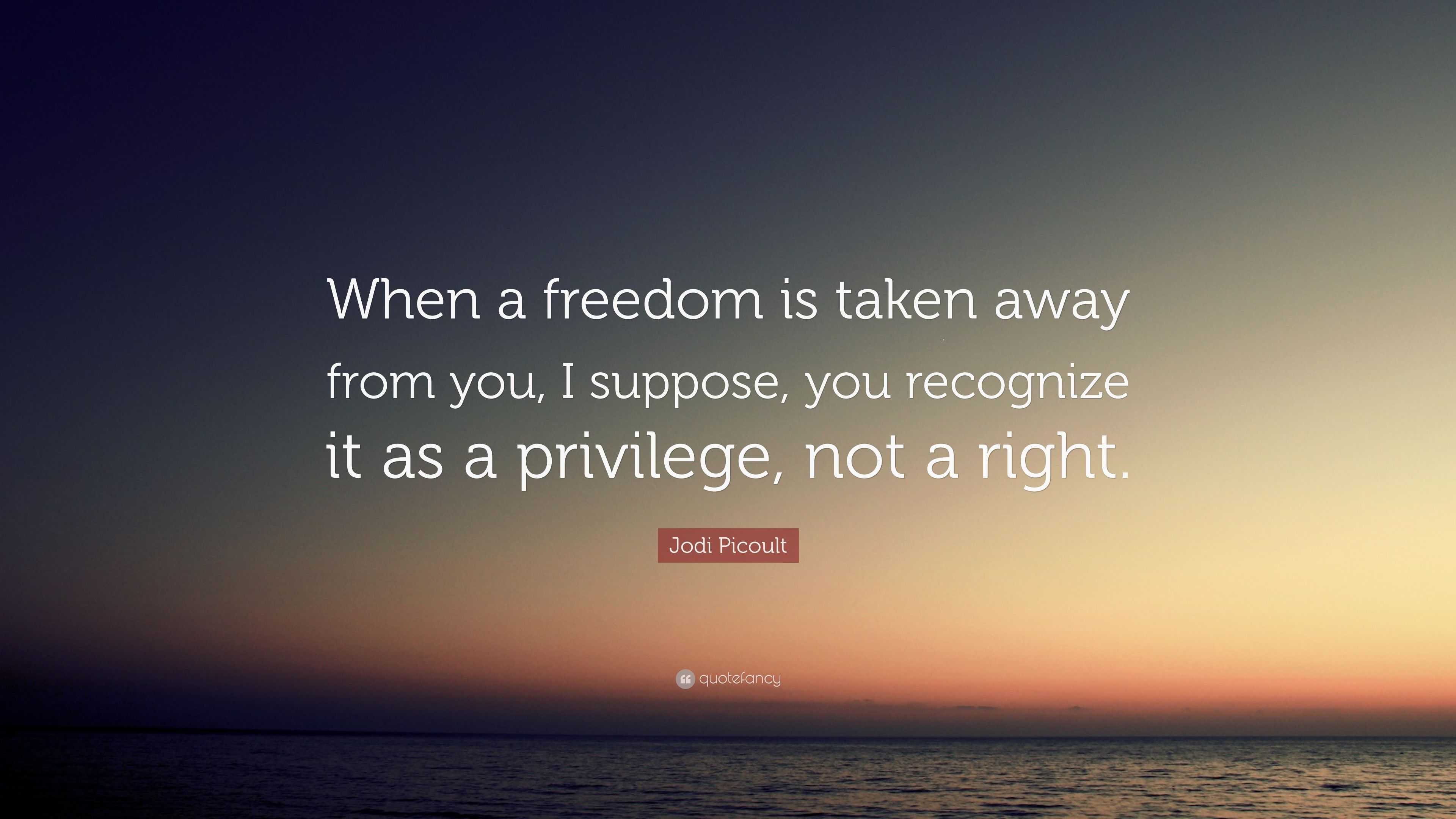 Jodi Picoult Quote: “When a freedom is taken away from you, I suppose ...