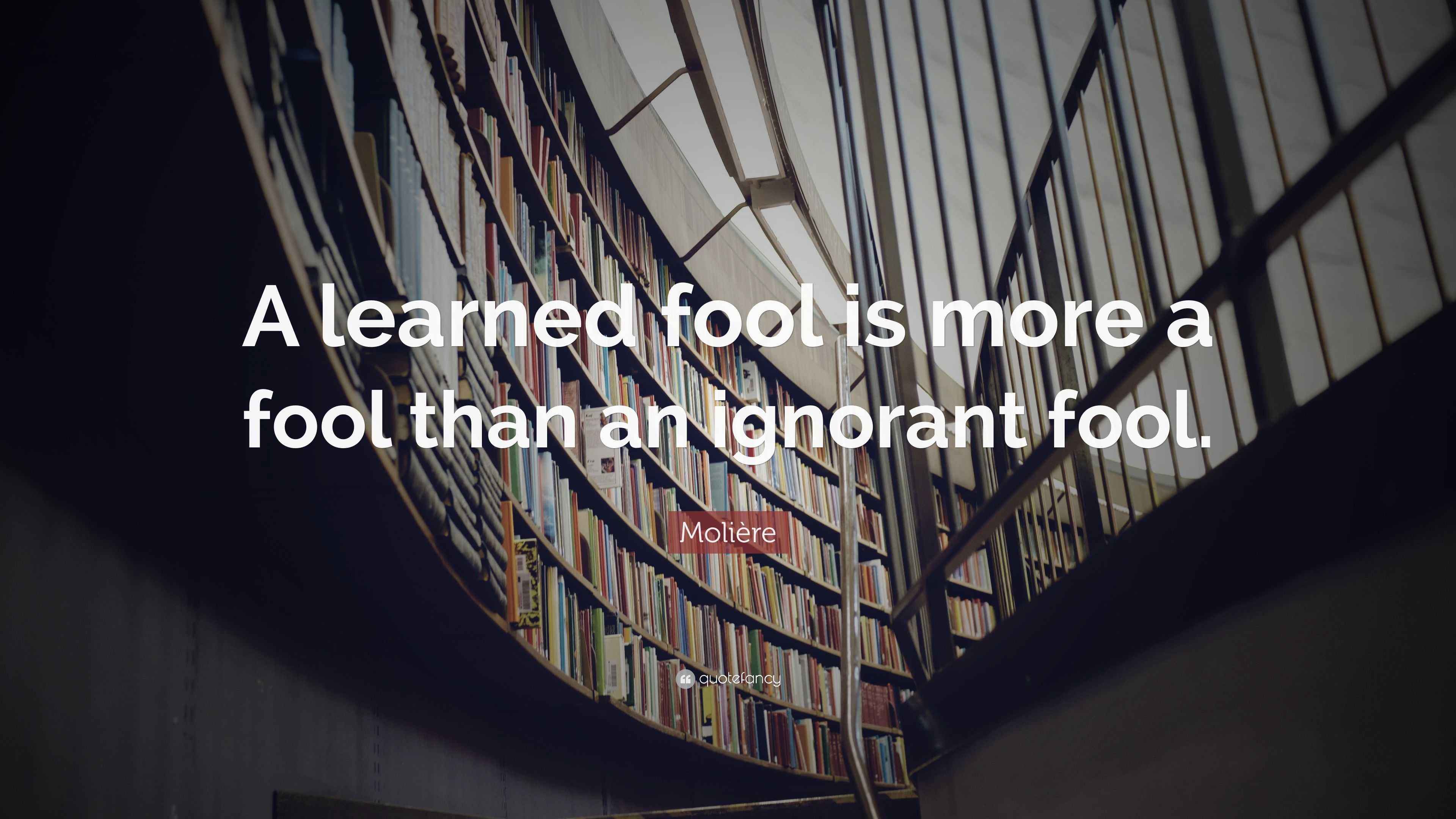 Molière Quote: “A learned fool is more a fool than an ignorant fool.”