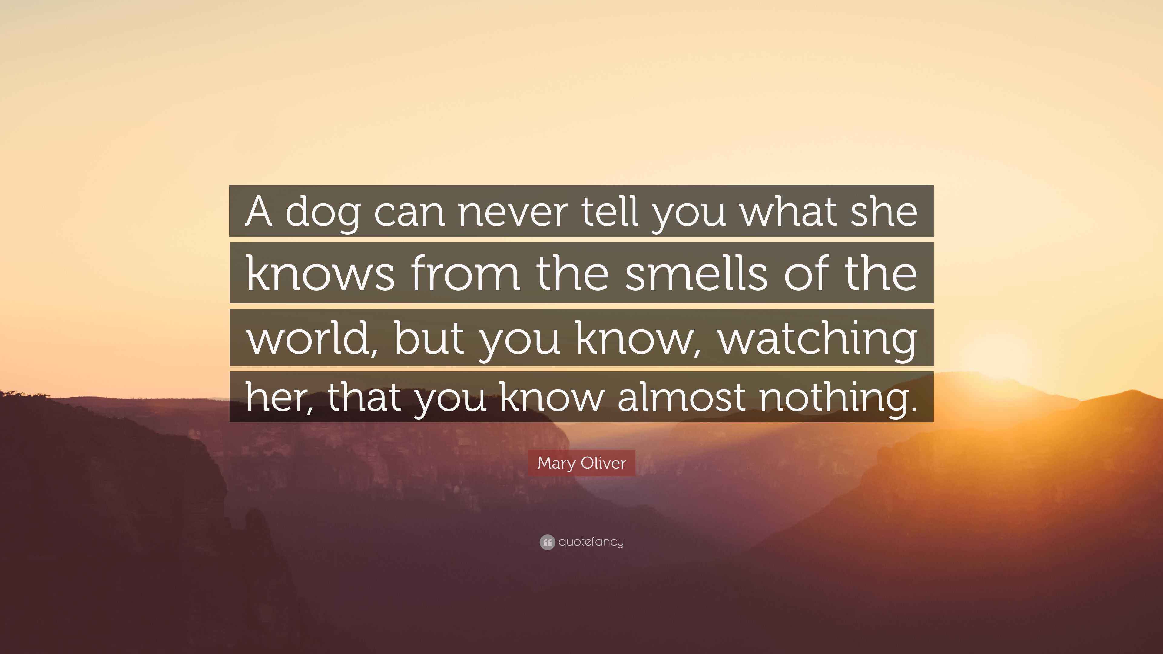 Mary Oliver Quote: “A dog can never tell you what she knows from the ...
