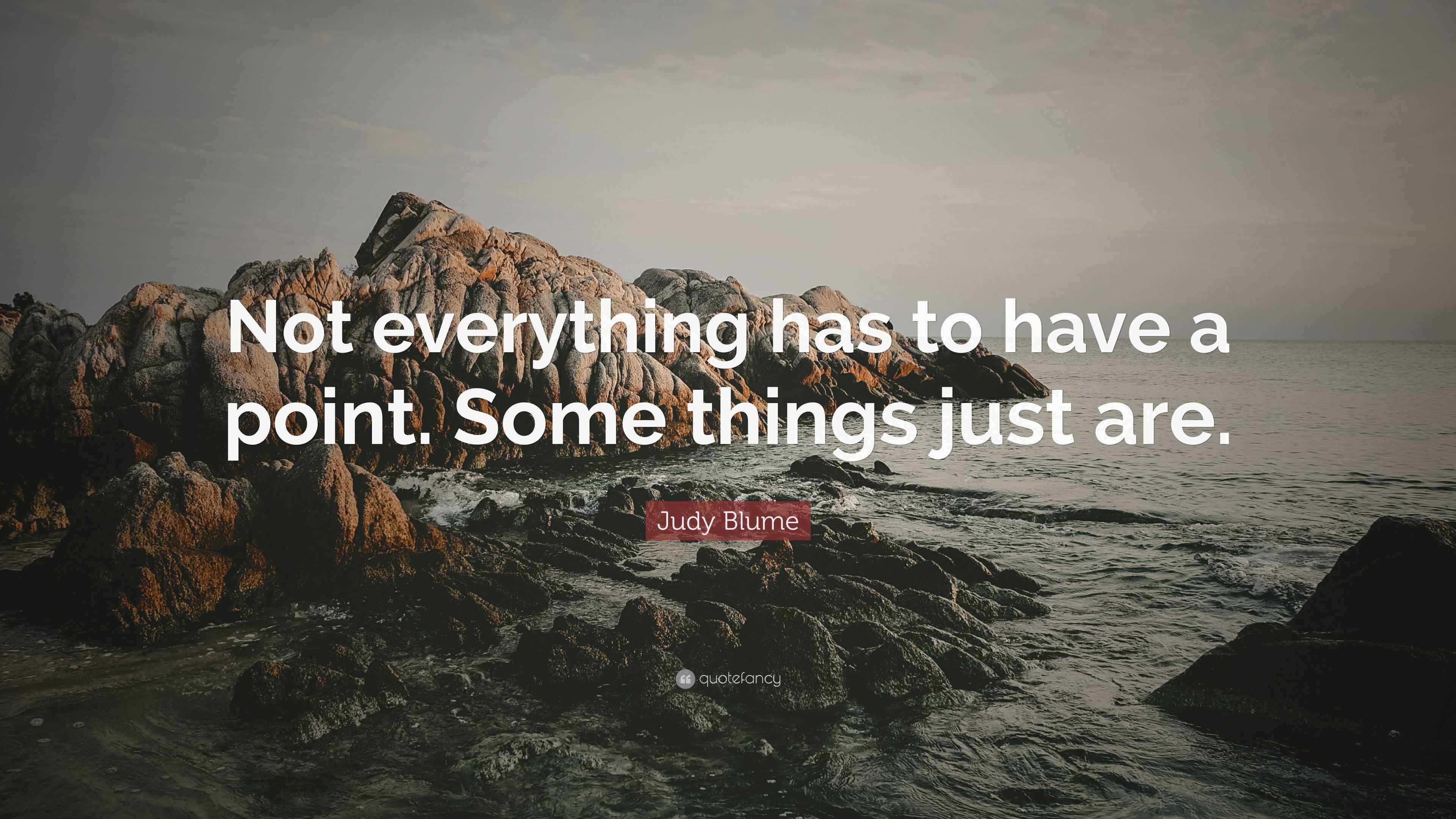 Judy Blume Quote: “Not everything has to have a point. Some things just ...