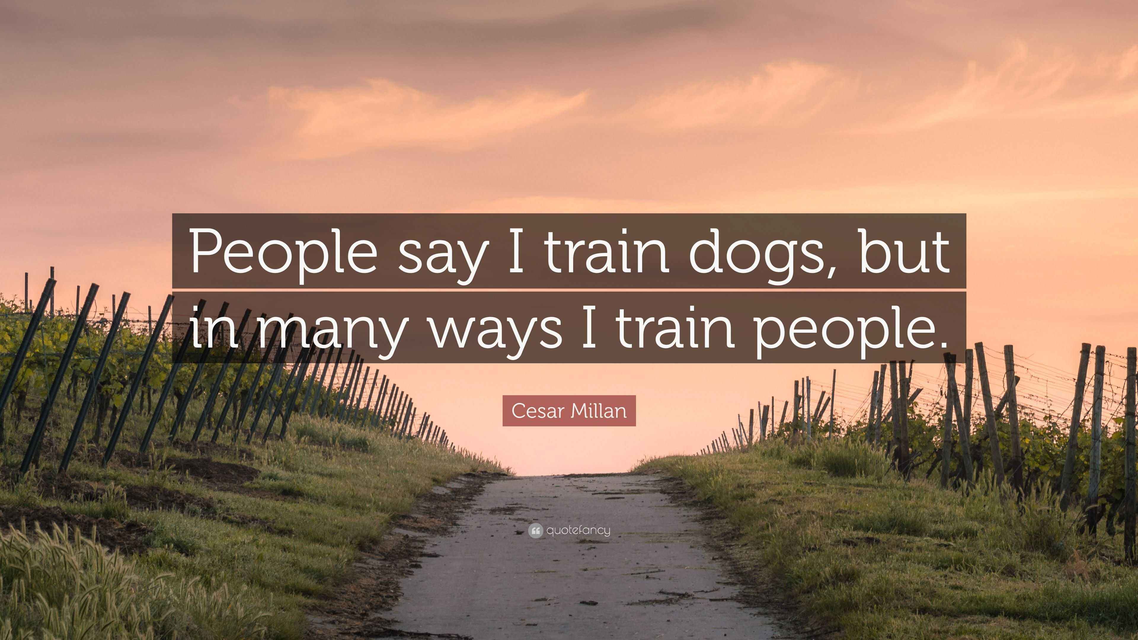 Cesar Millan Quote: “People say I train dogs, but in many ways I train ...