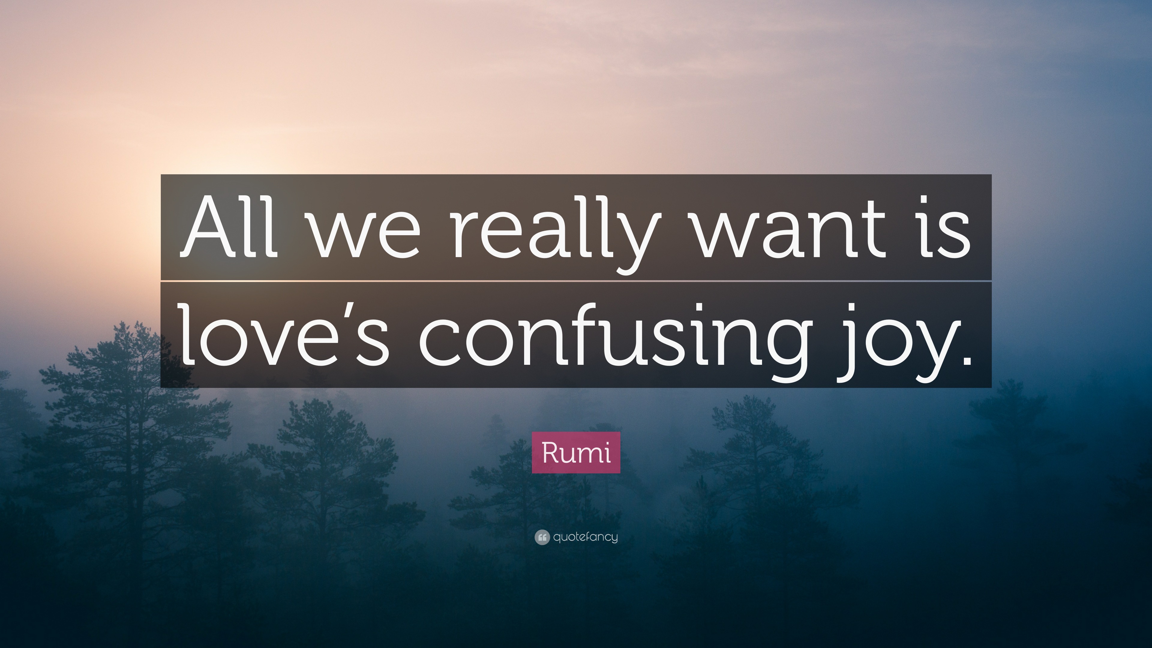 Confusion Quotes About Love