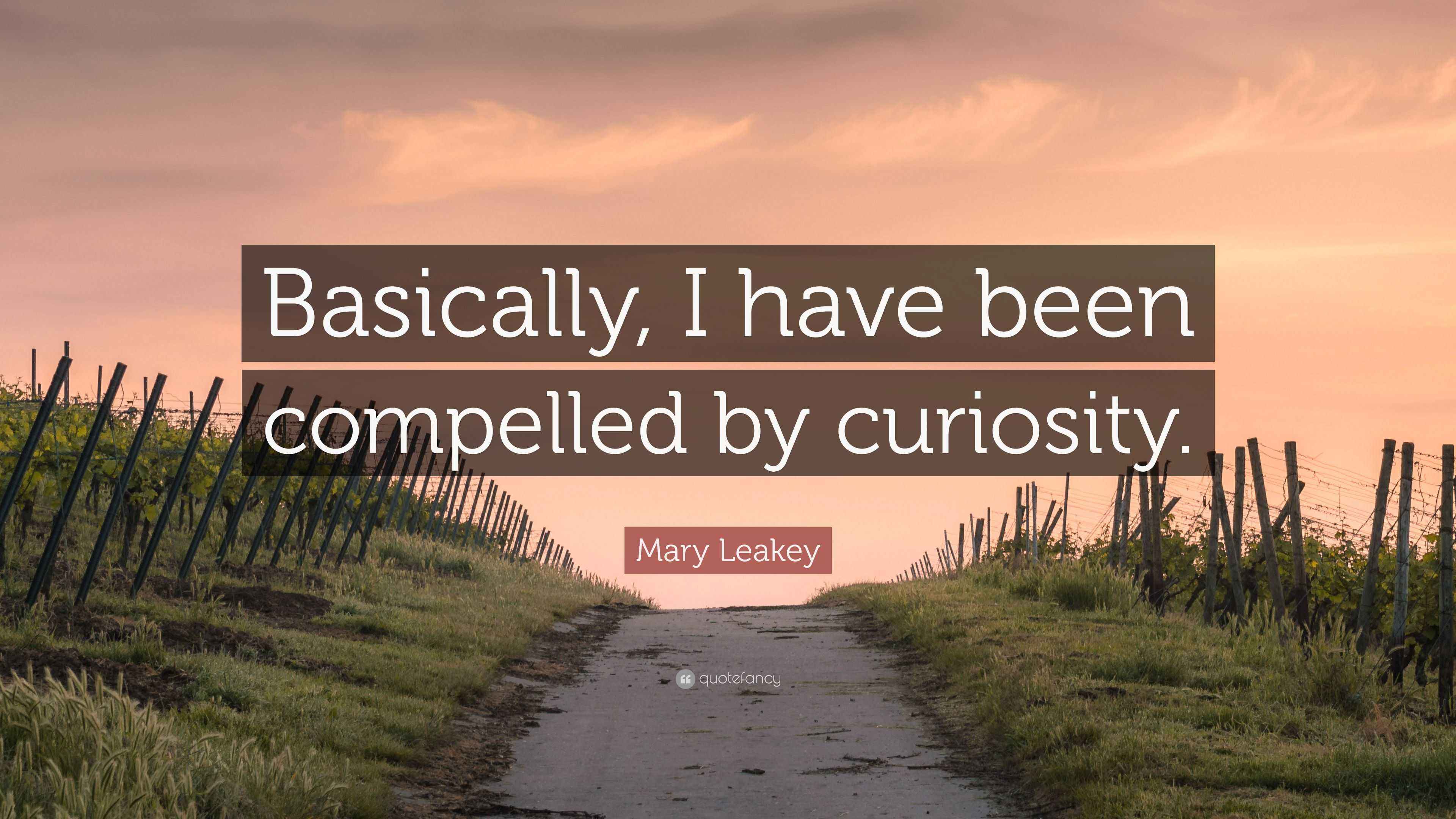 Mary Leakey Quote: “Basically, I have been compelled by curiosity.”