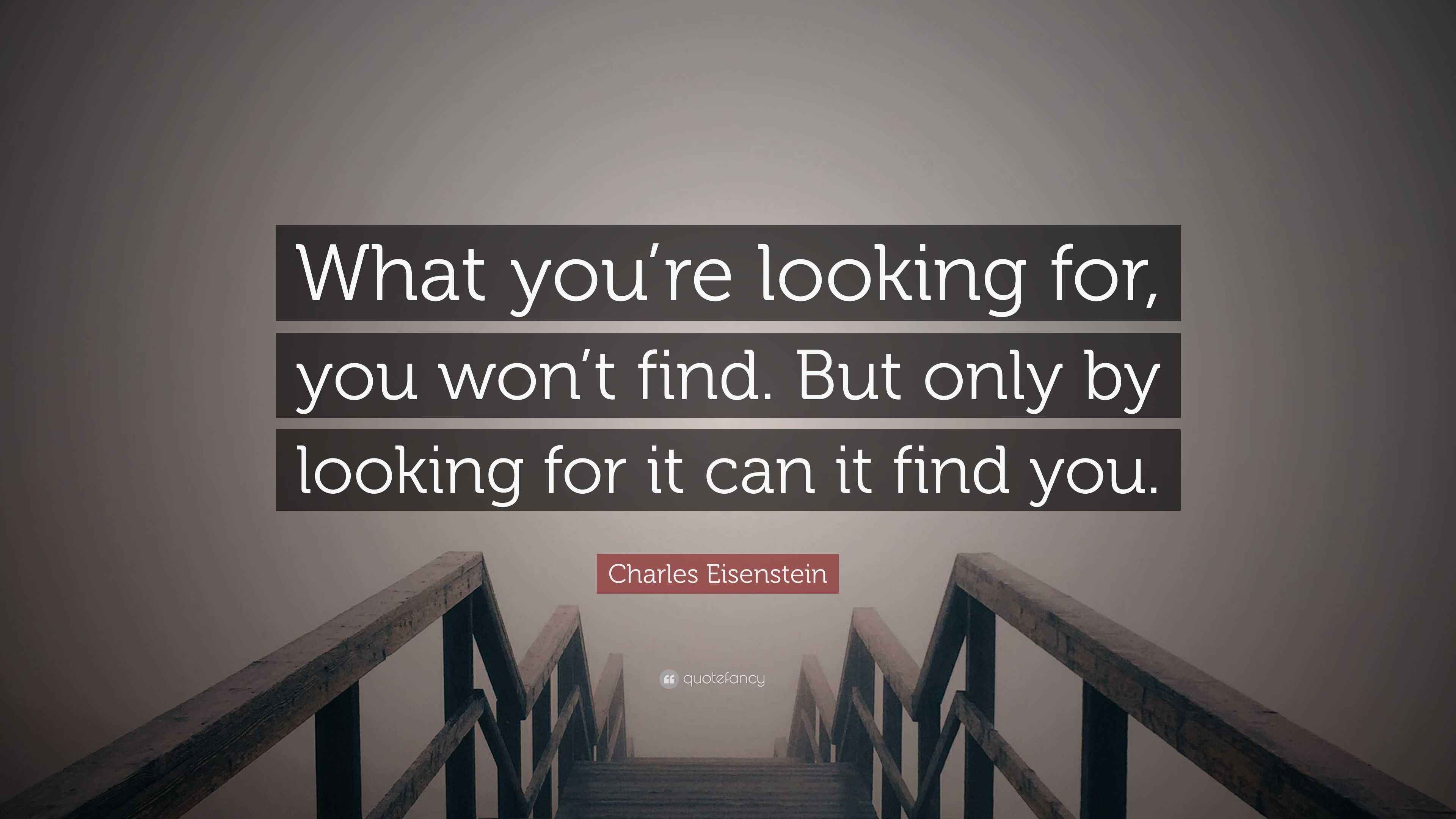 Charles Eisenstein Quote: “What you’re looking for, you won’t find. But ...