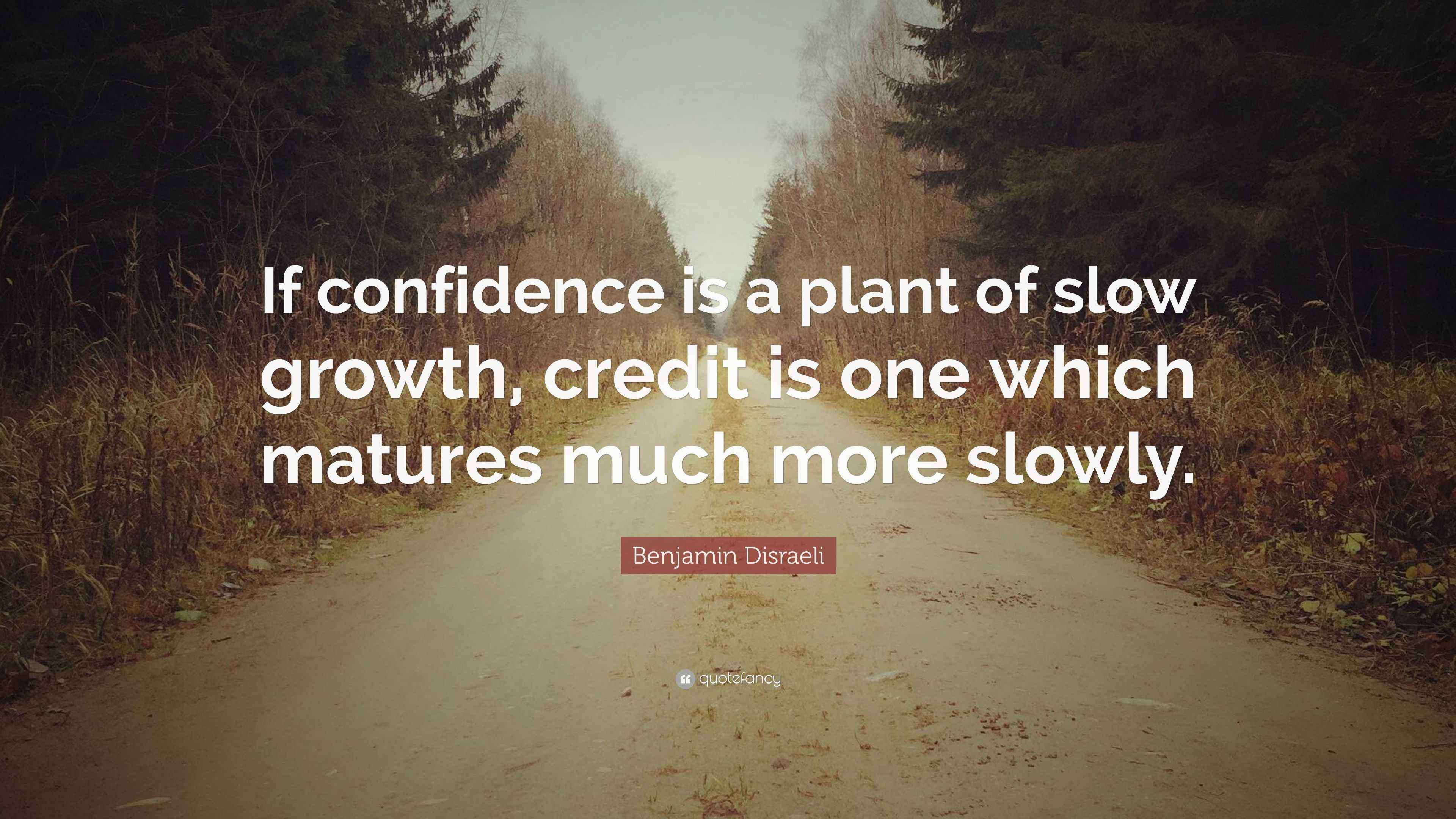Benjamin Disraeli Quote: “If confidence is a plant of slow growth ...