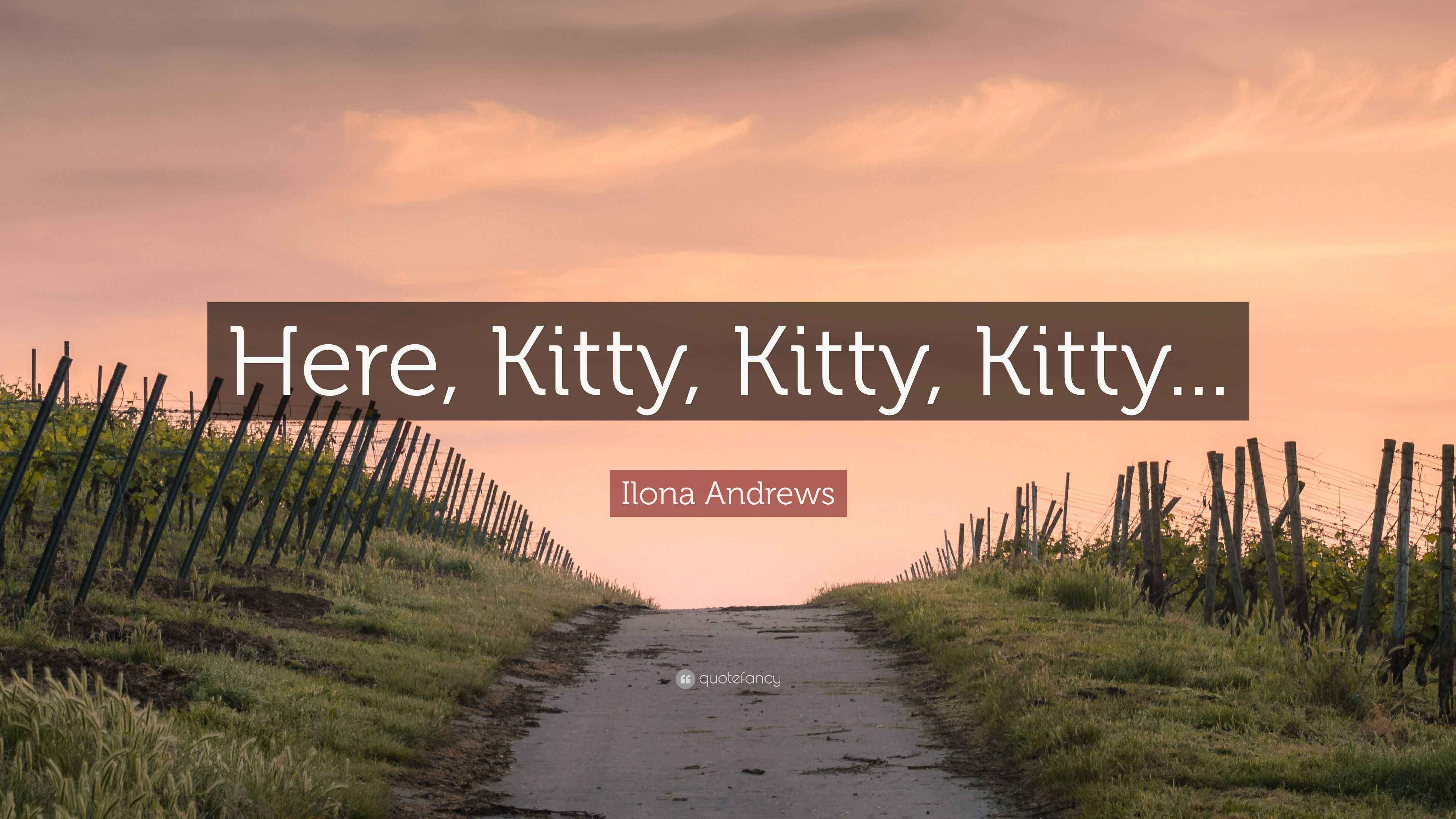 Ilona Andrews Quote: “Here, Kitty, Kitty, Kitty...”